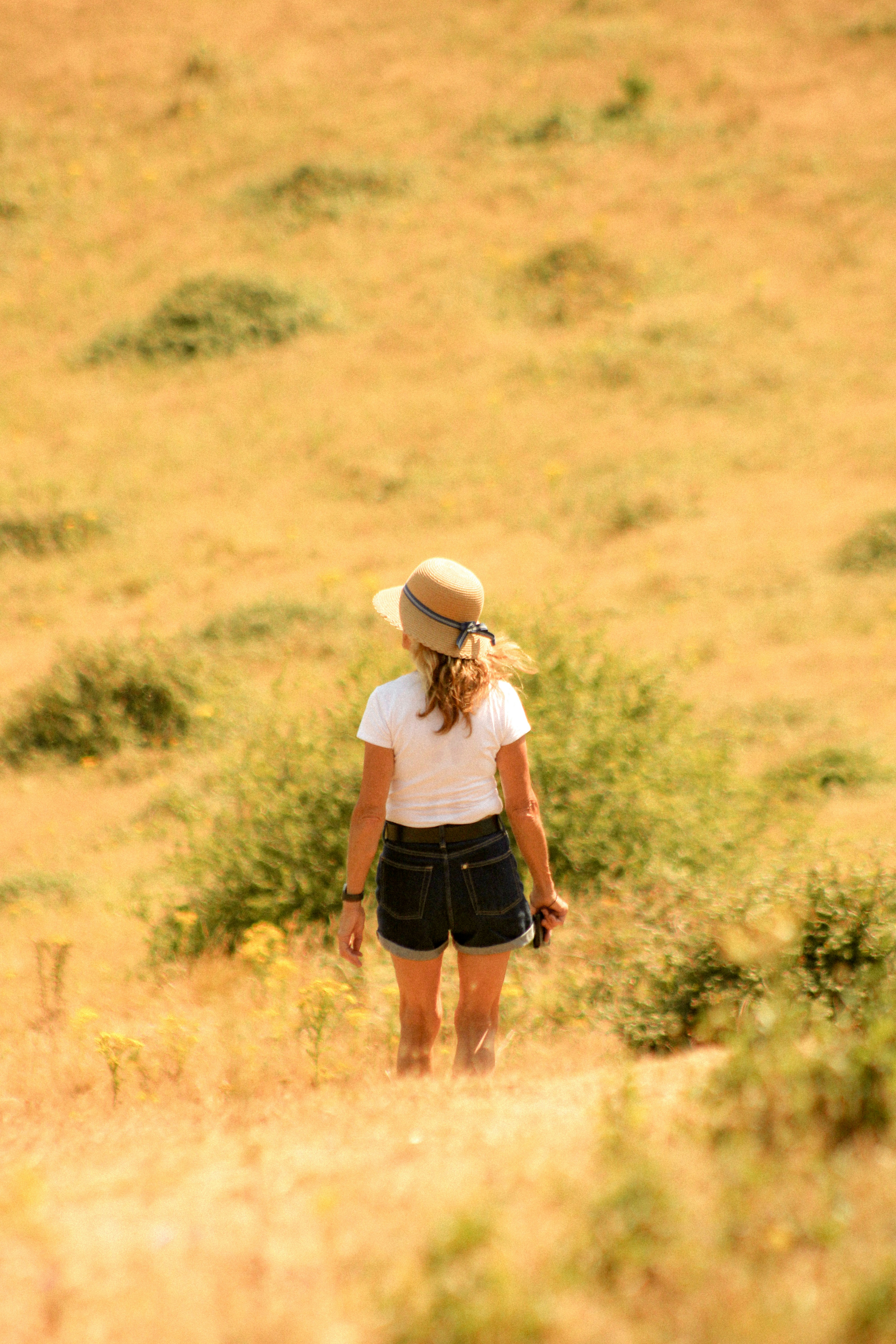A woman wearing a white shirt, denim shorts, and a wide-brim hat walks away through a sunlit golden field, with soft focus and warm tones.