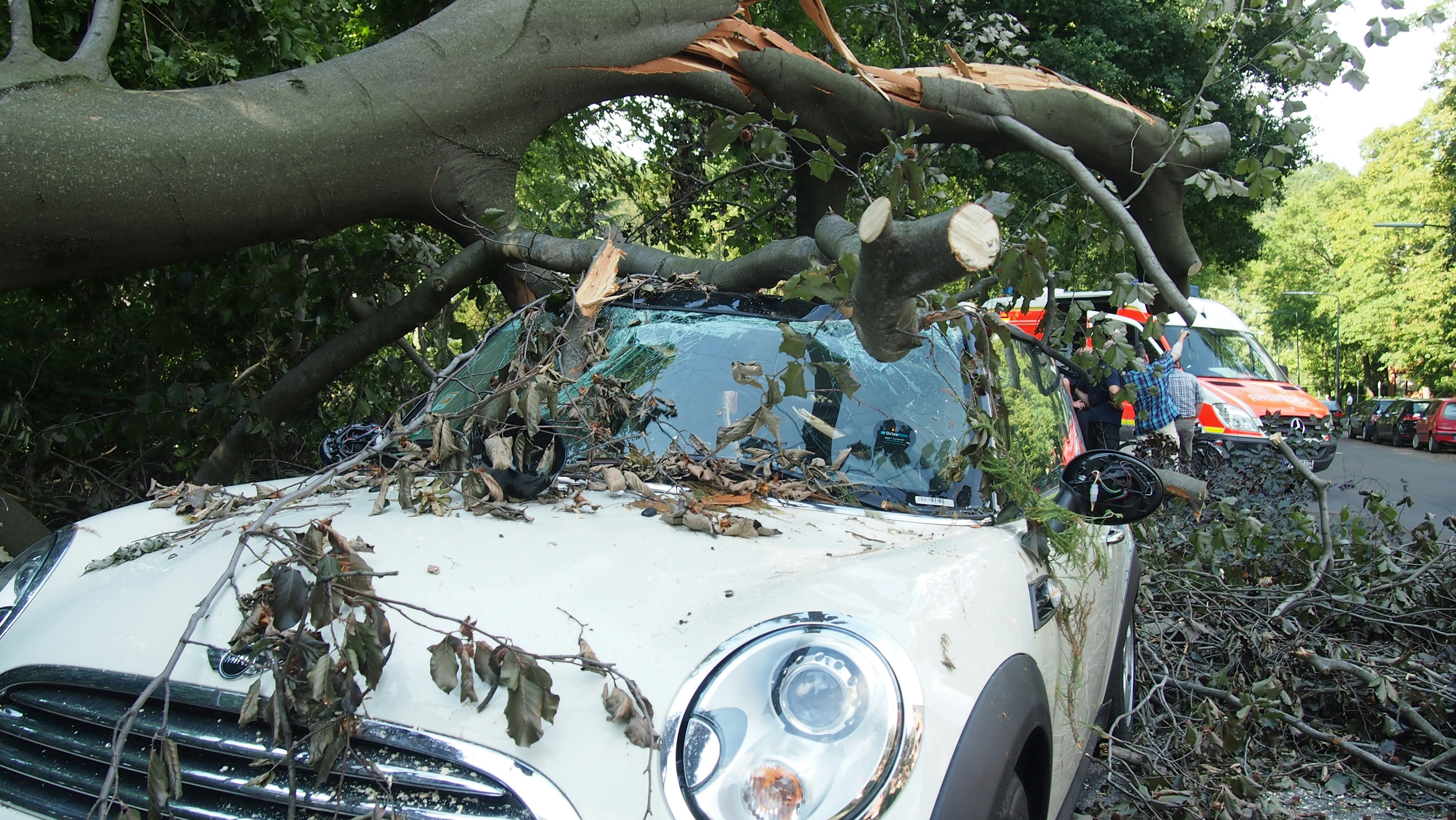 Downed Branches Crown a Stranded Convertible Amid a Neighborhood Skyline