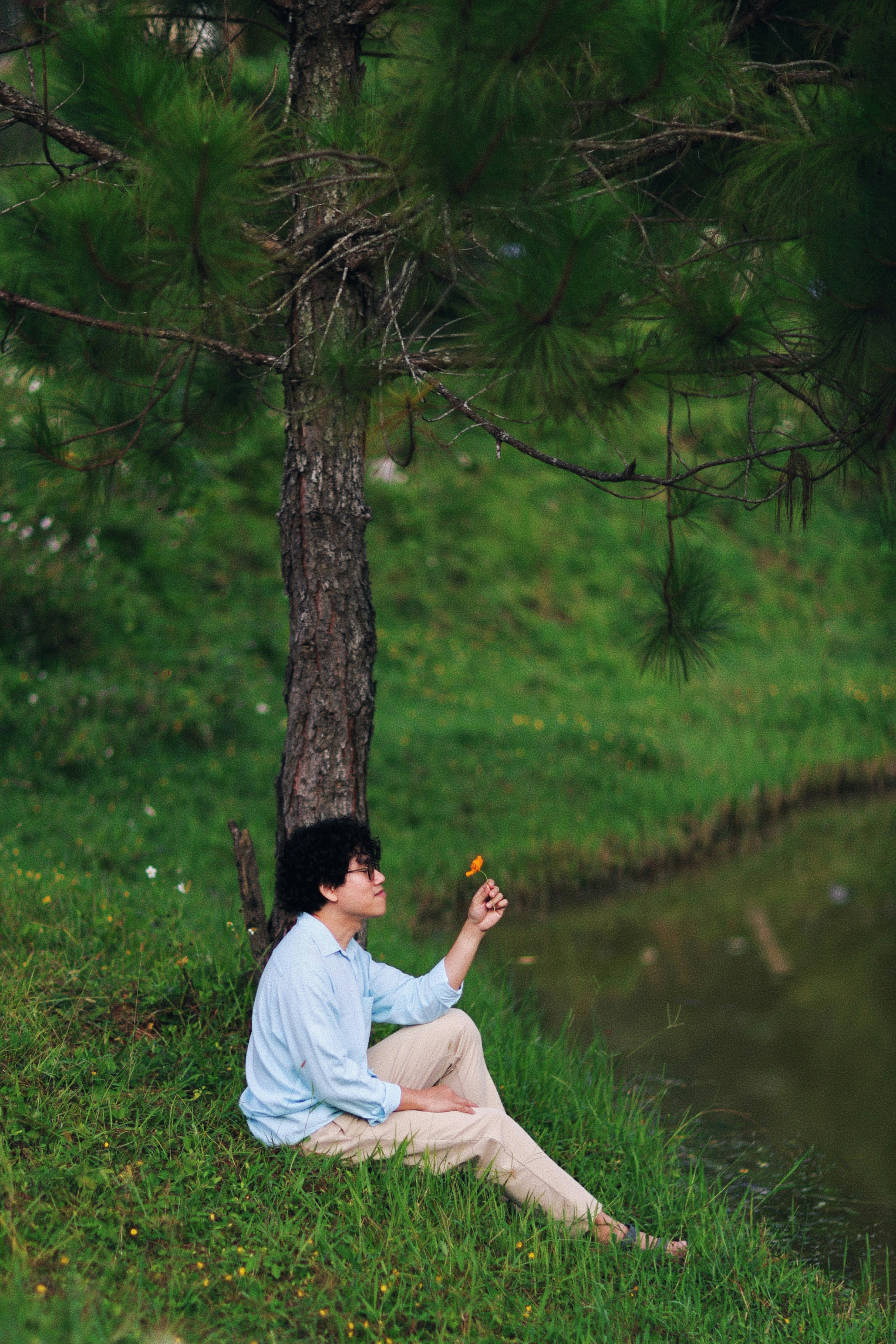 Quiet Moment by the Pond: A Quiet Confession on Green