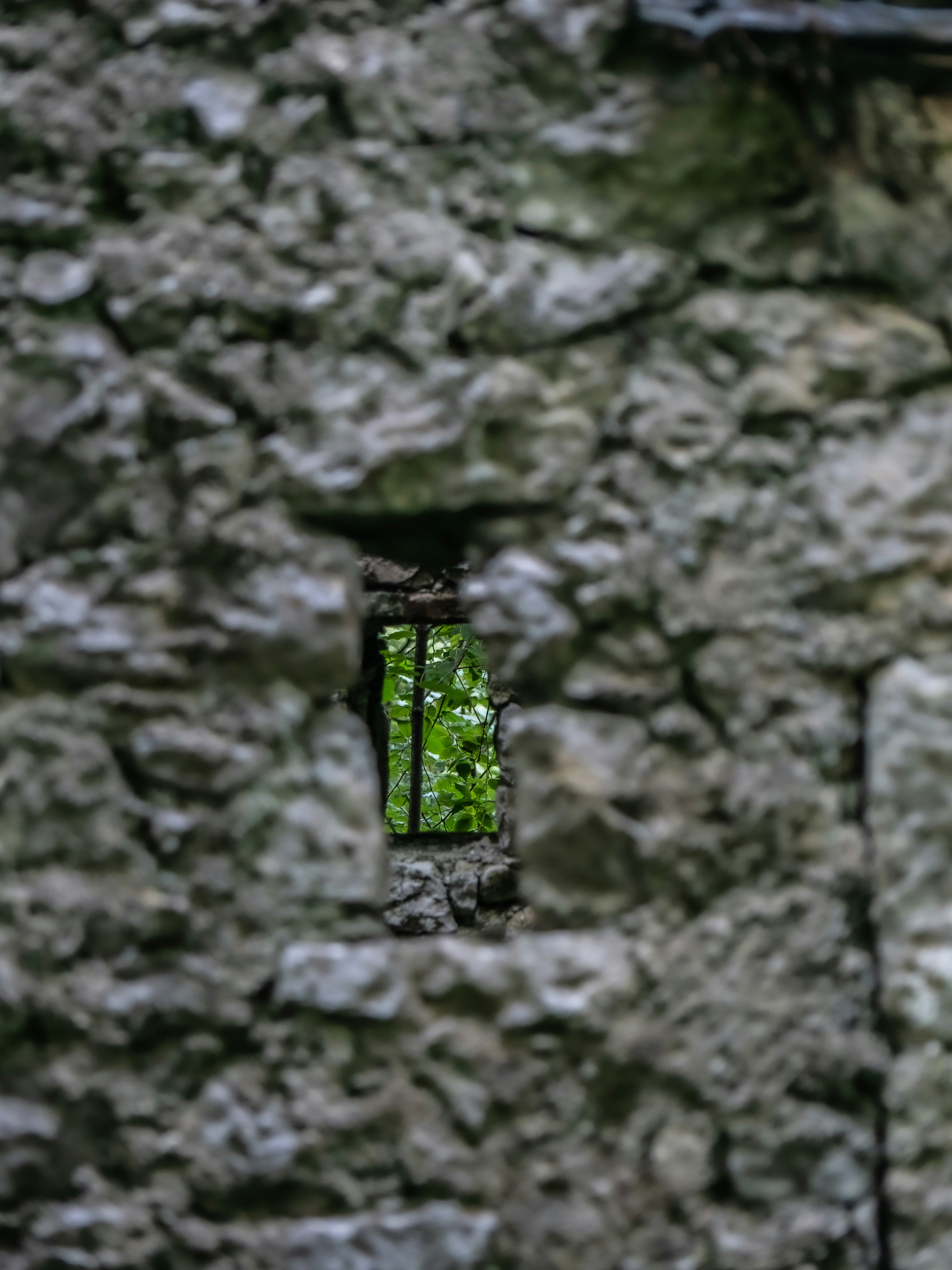 A small rectangular opening in weathered stone reveals vibrant green foliage beyond the rugged wall. This is a close-up of aged masonry with a natural cue drawing the eye toward the outside scene.