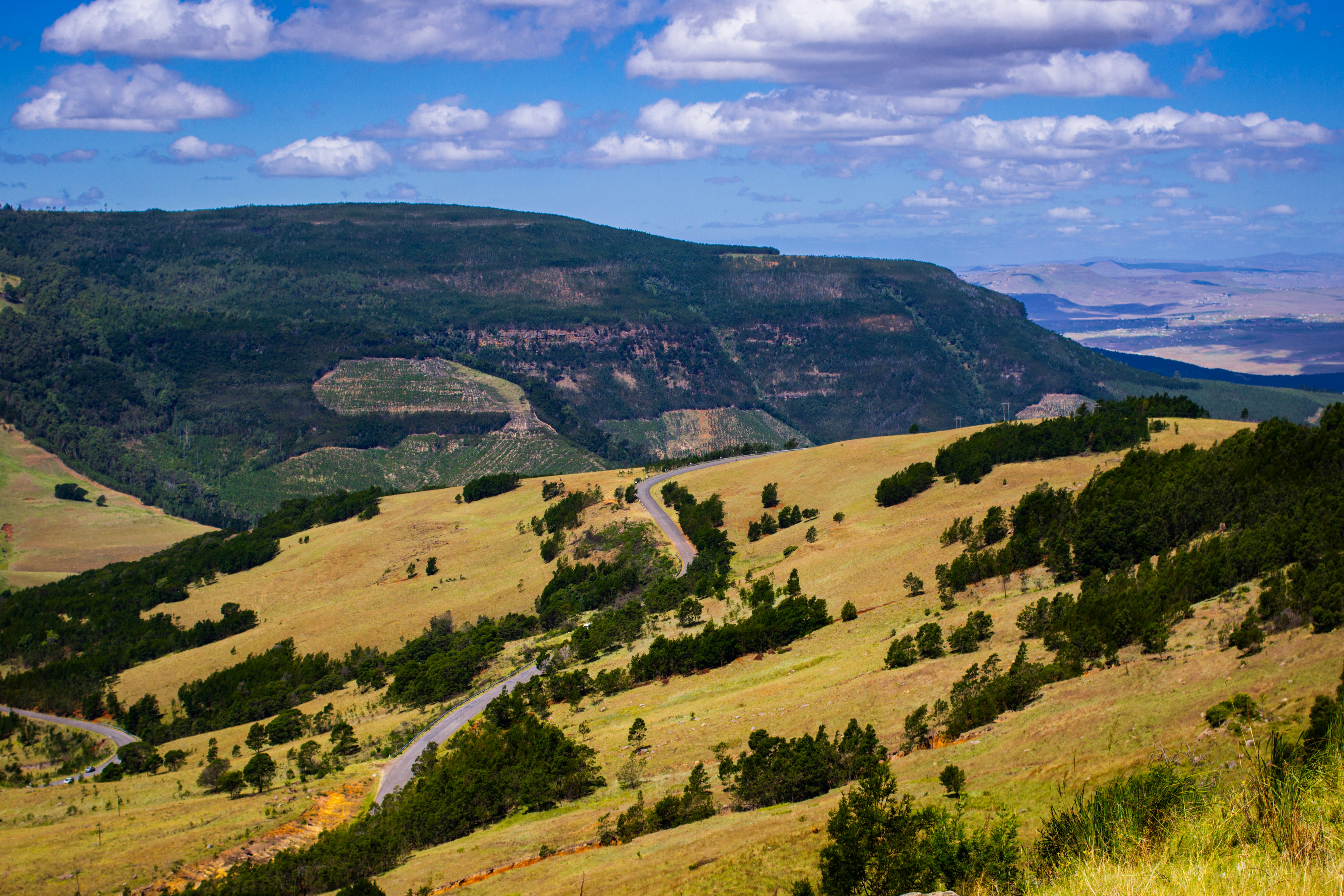 Winding Road Through Golden Hills Toward a Canyon Horizon