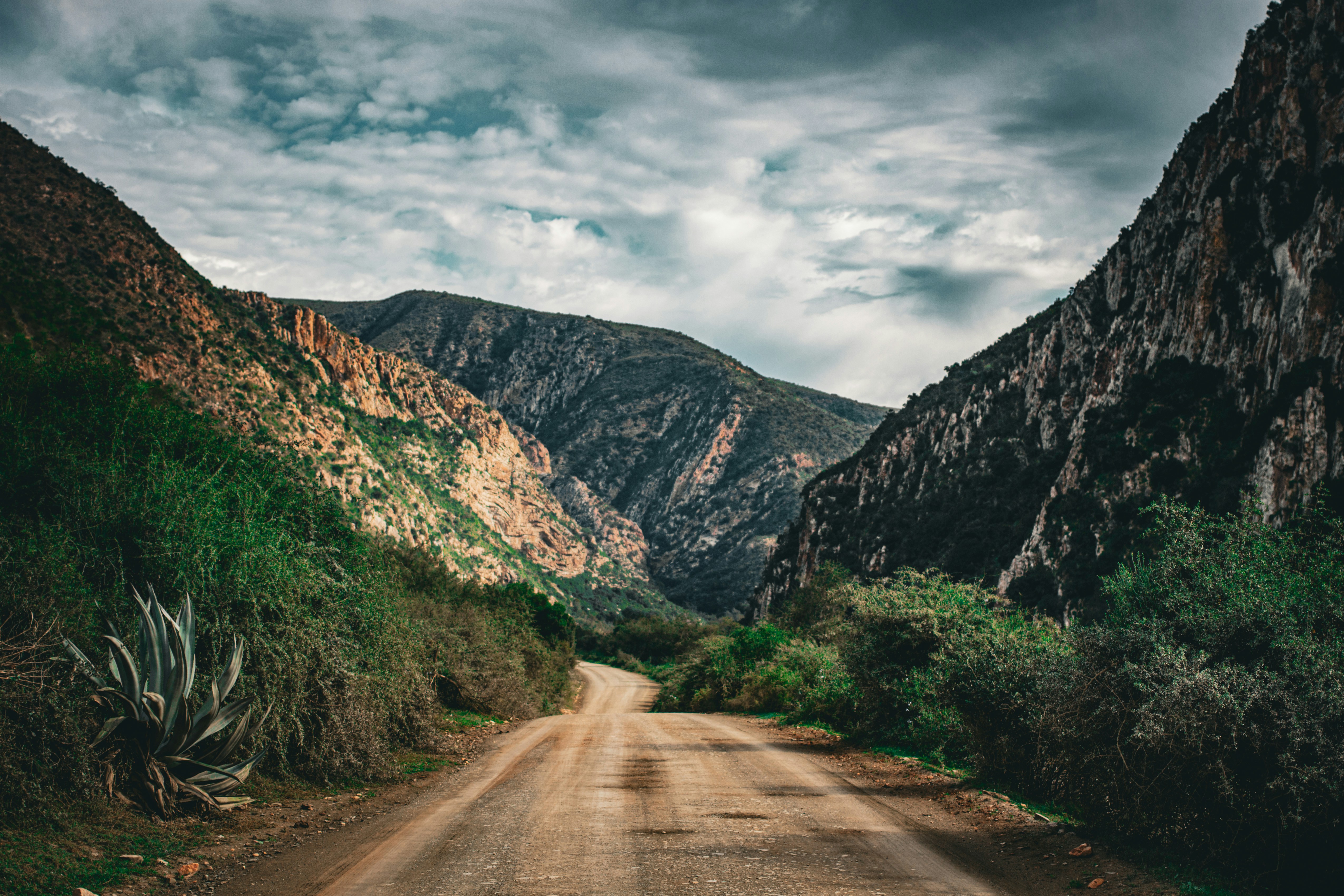 Desert Road Through Cliffbound Valley at Dusk