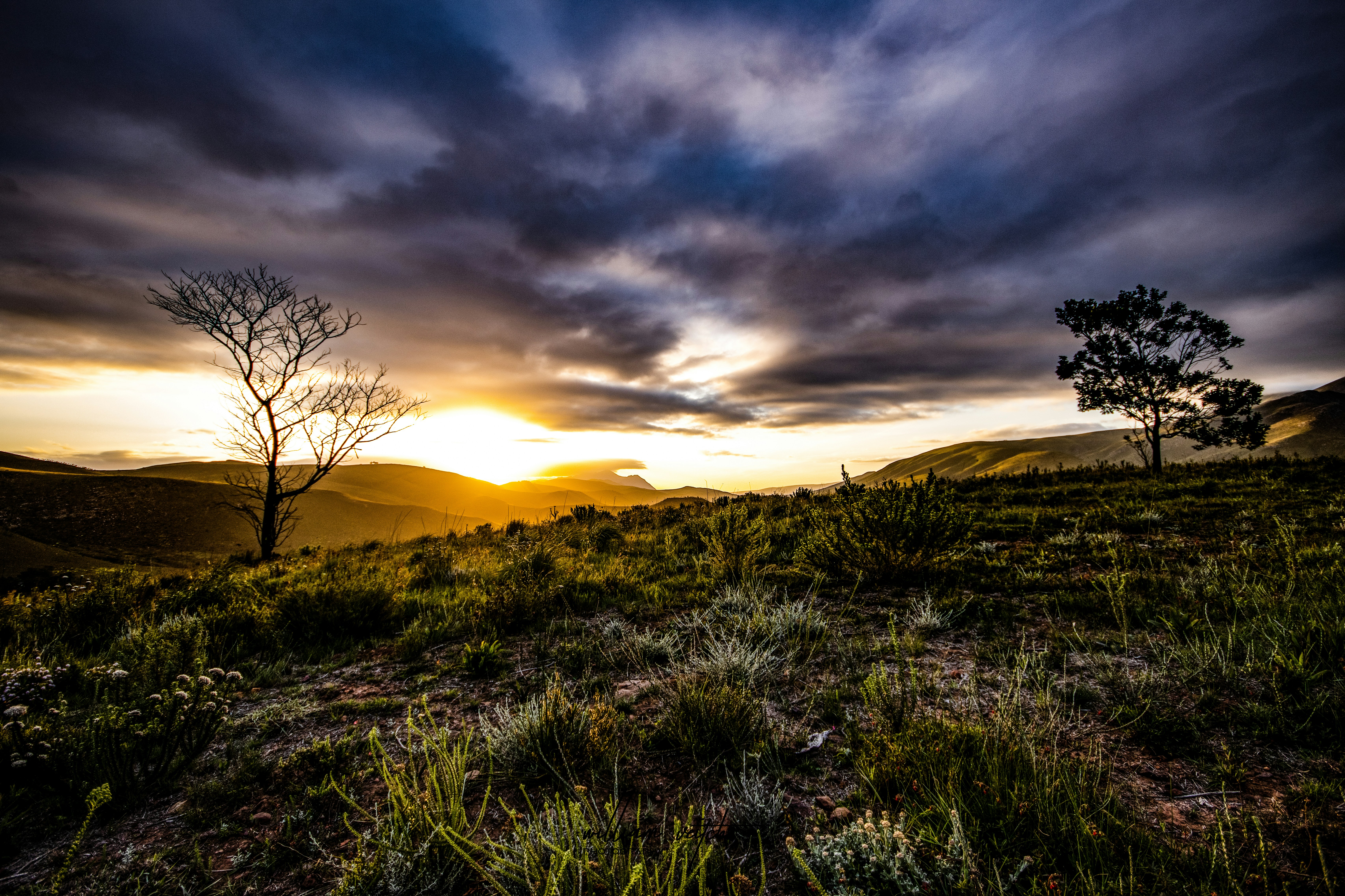 Sunlit Crest: A prairie at the edge of dusk