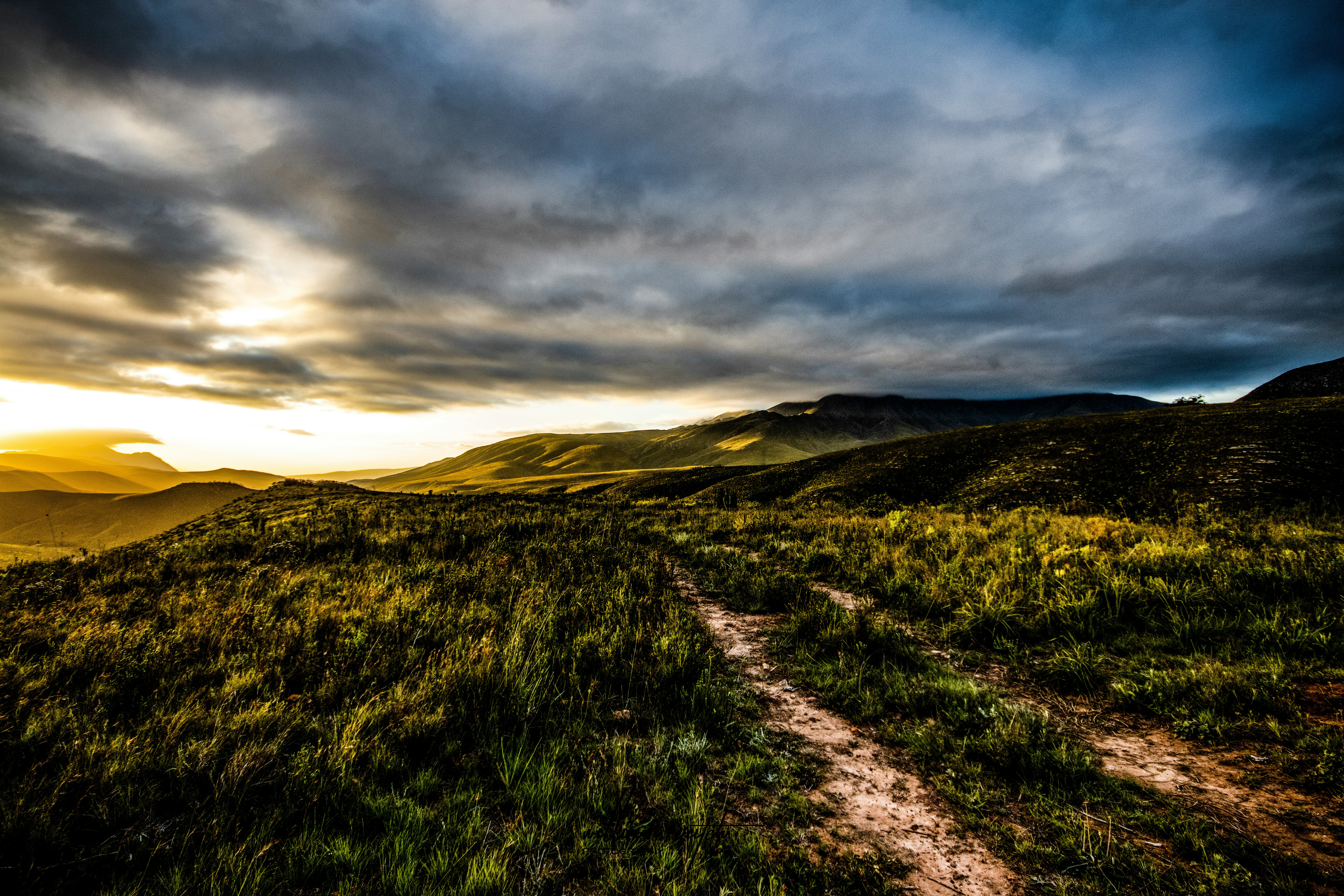 Golden Ridge at Dusk: A Winding Path into the Horizon