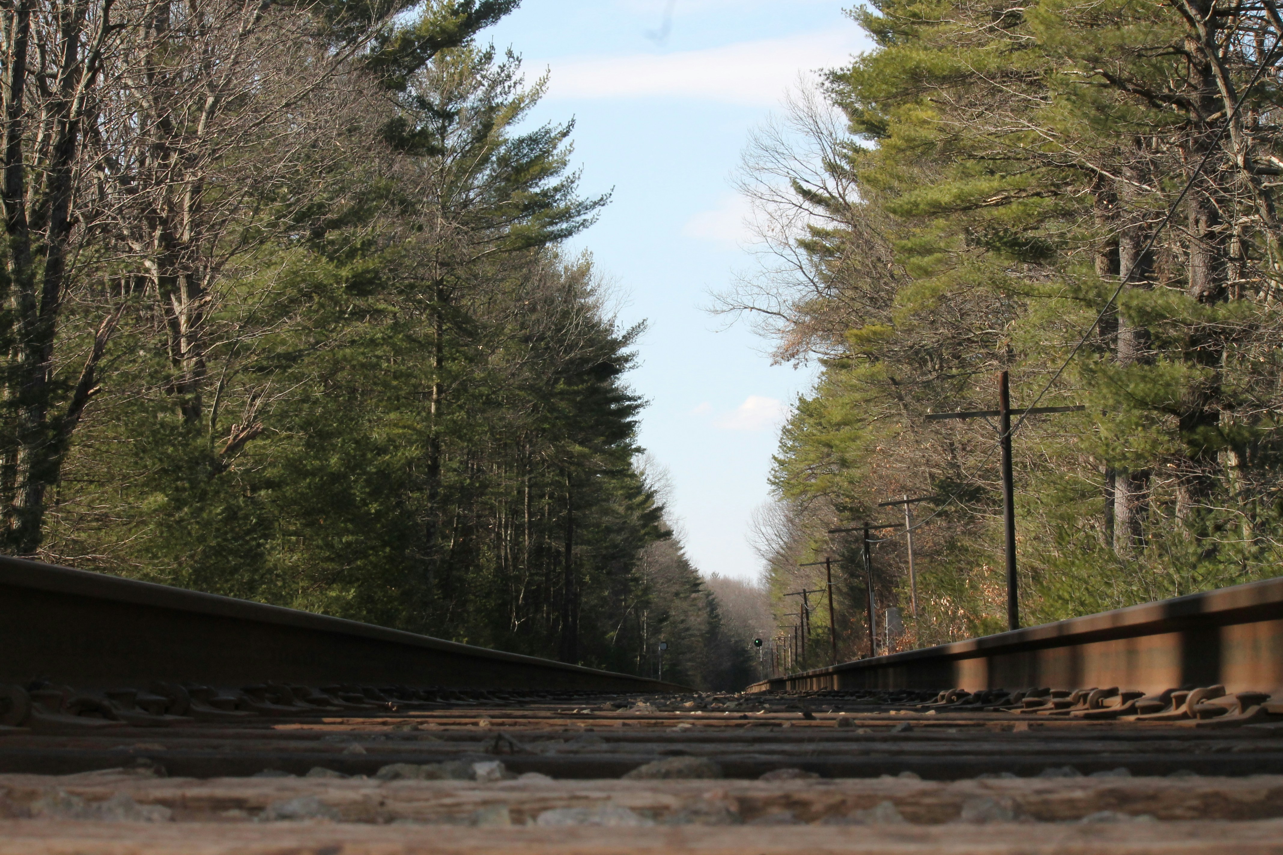 Rails to the Sky: Sunset Between Pines