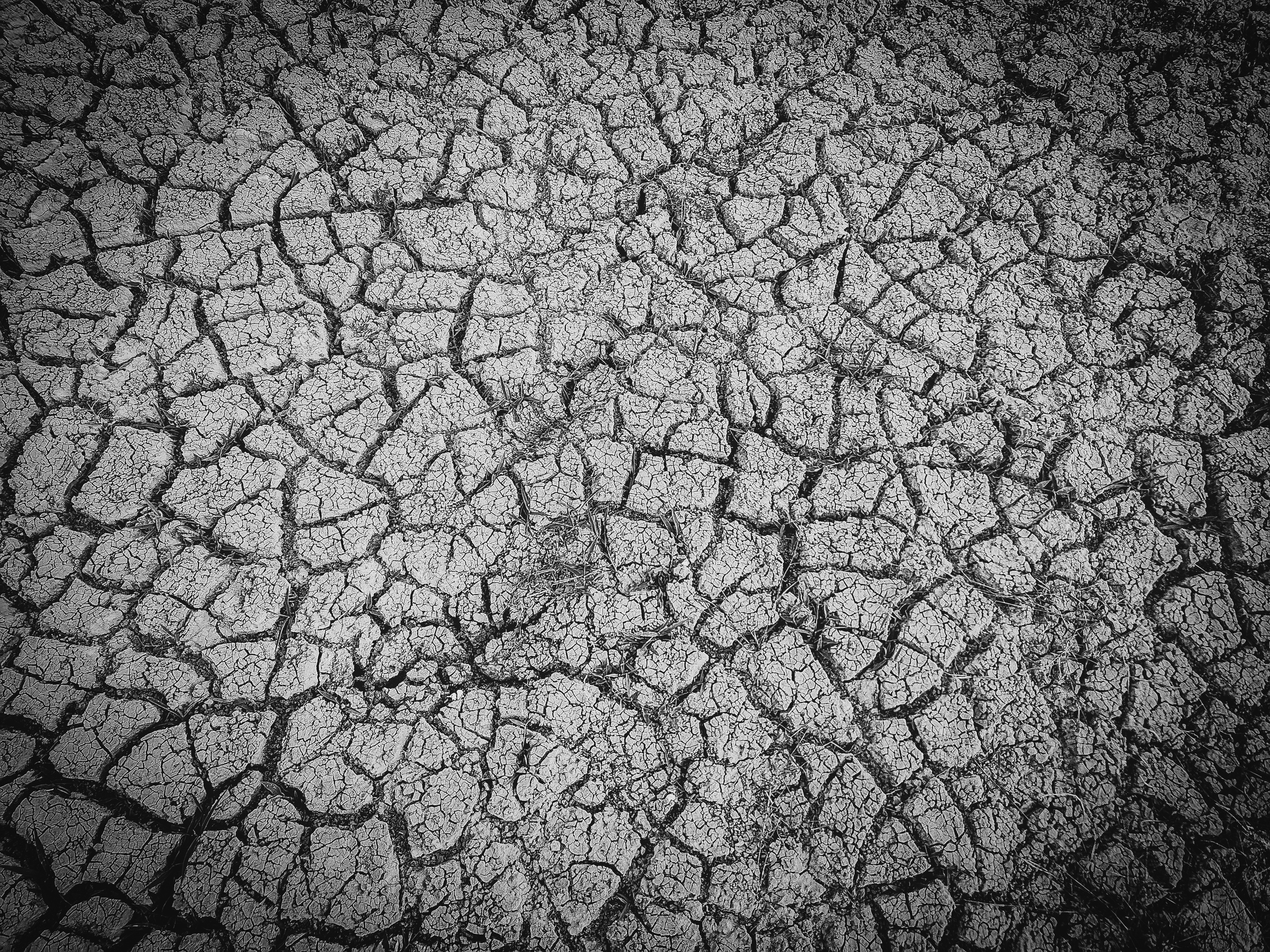 Cracked Earth Mosaic: a grayscale desert mosaic of polygonal clay seams