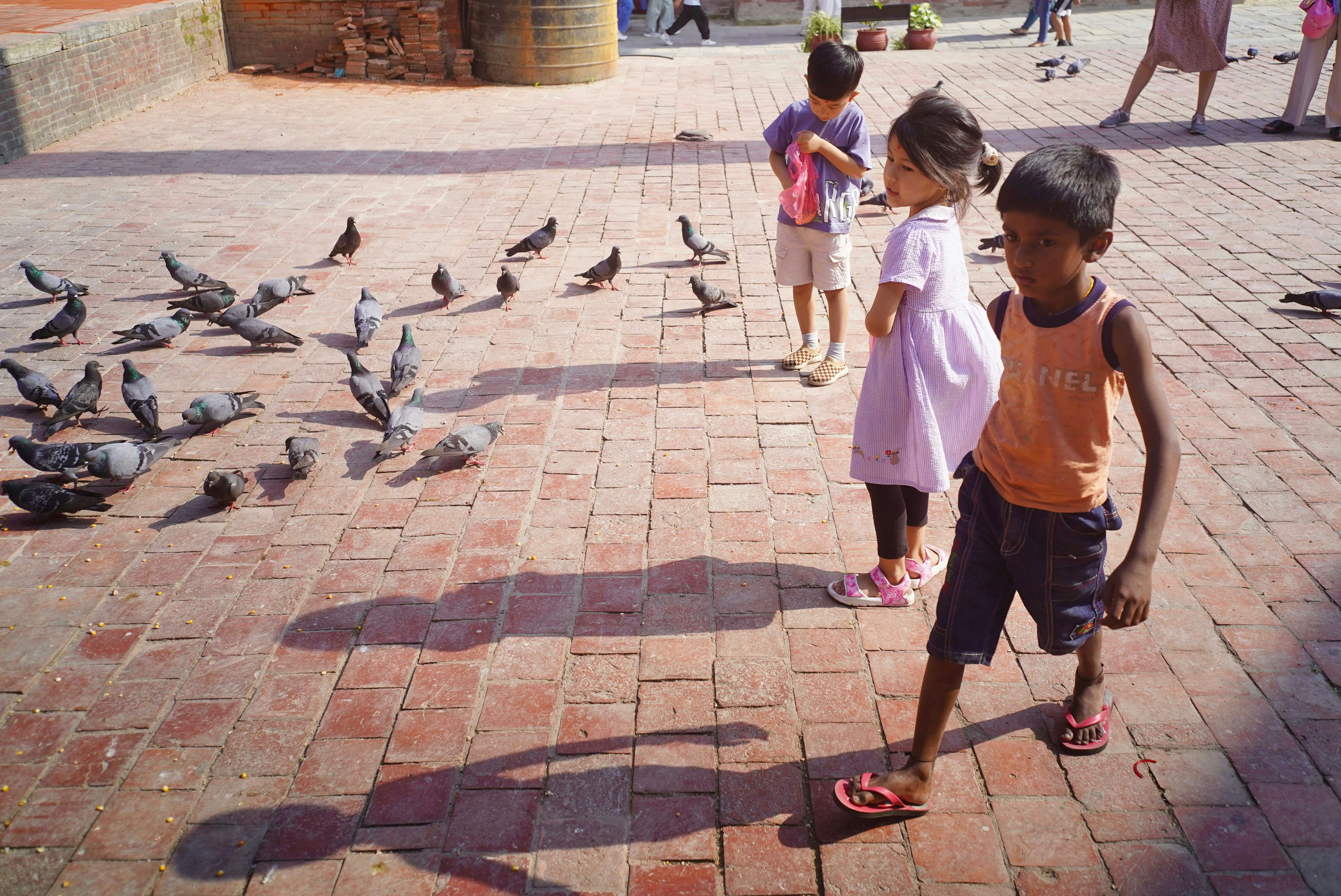 Children and pigeons on sunlit brick plaza