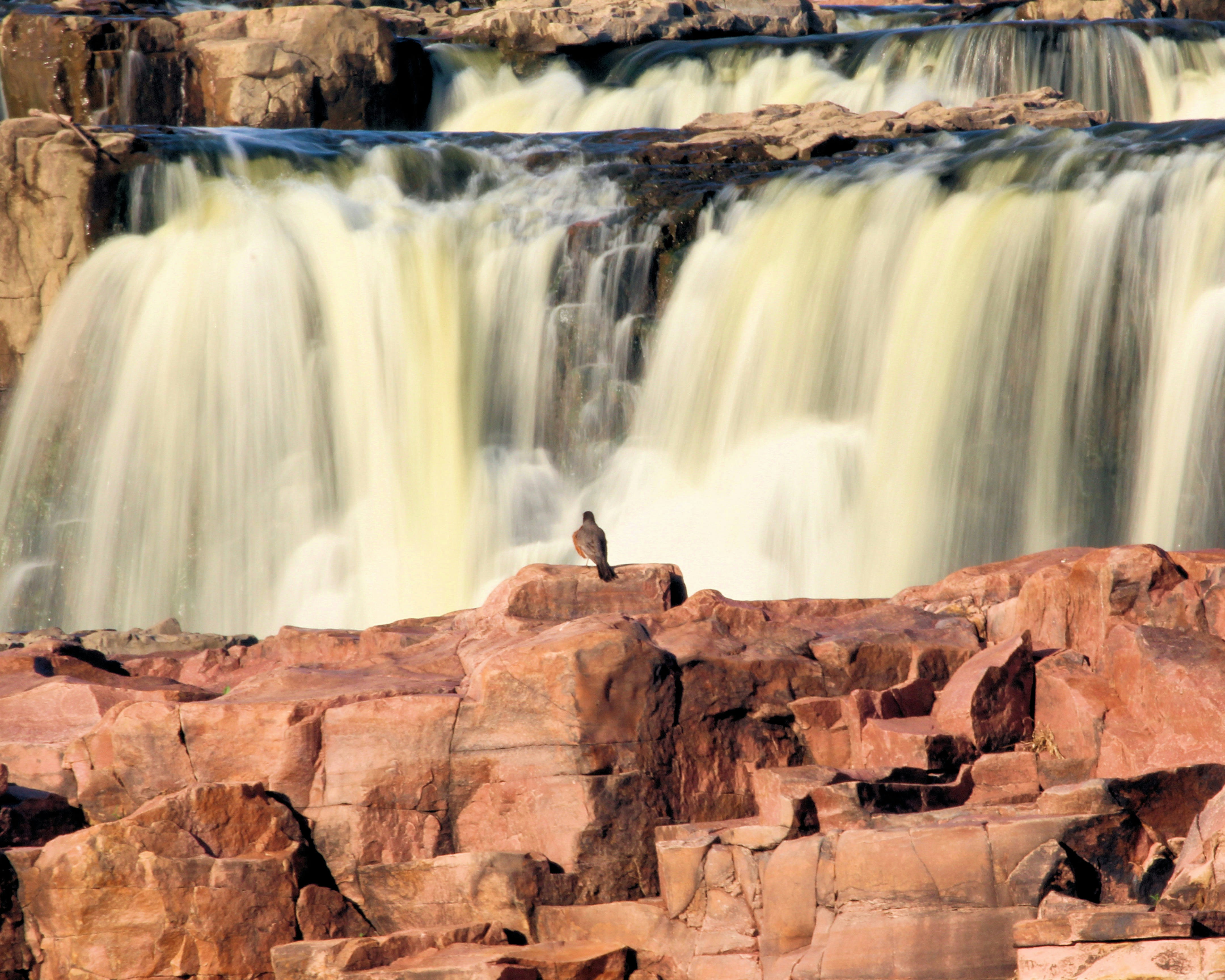 lone perched bird amid cascading red rocks at a multi-tier waterfall