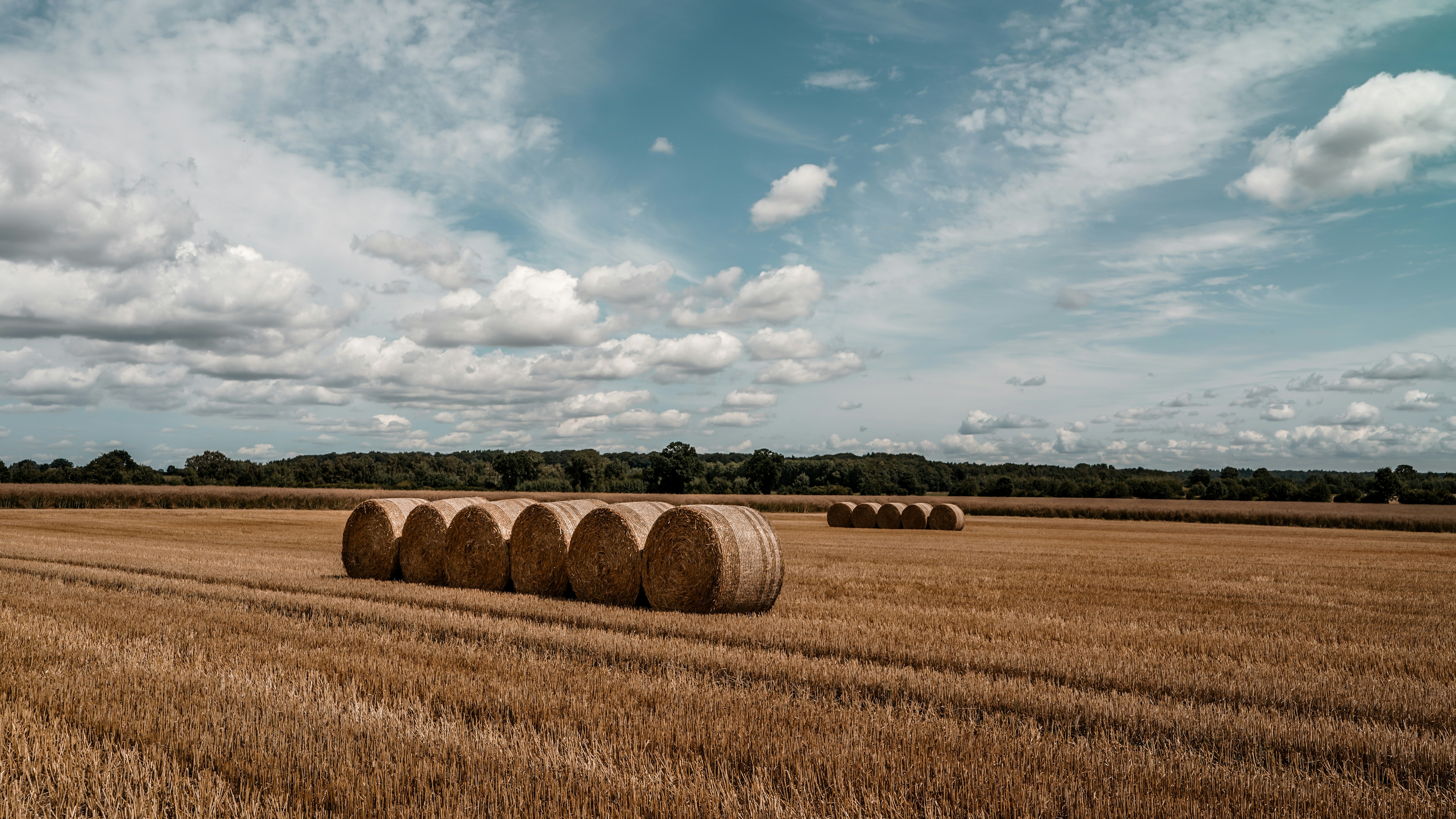 Golden Roll: Hay Bales Stretch Across a Calm Field