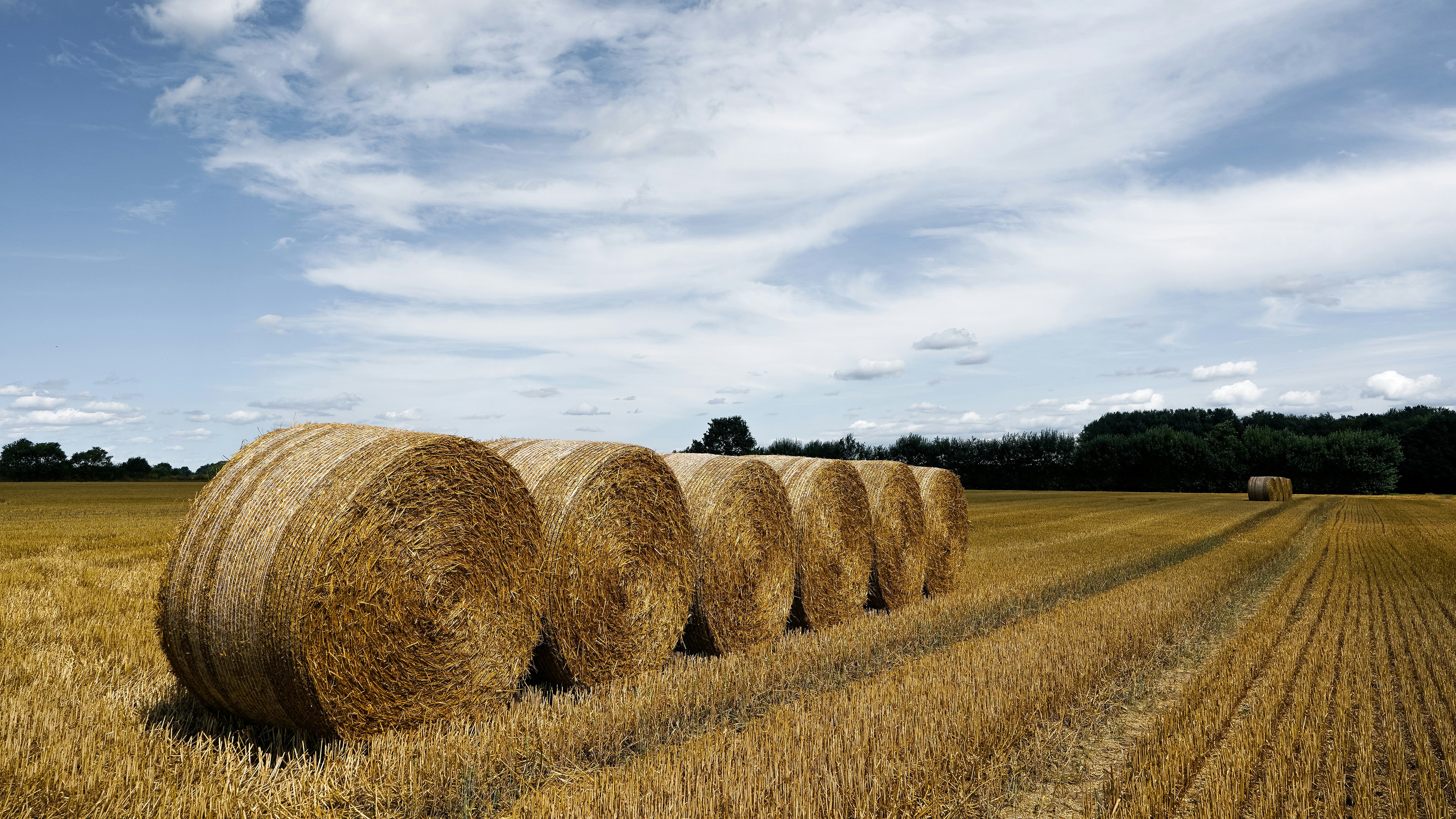 Row of Golden Hay Bales marching toward the horizon
