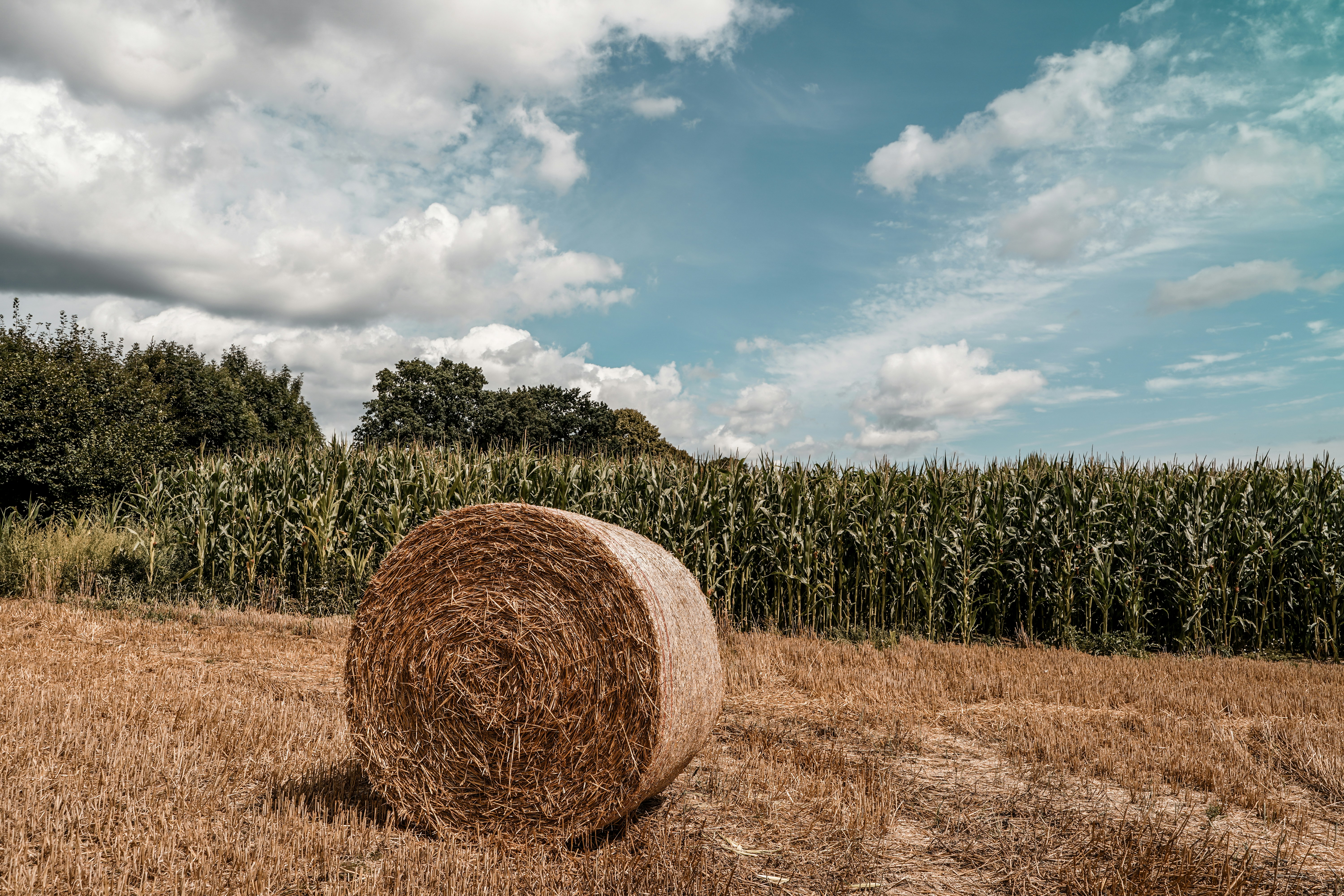 Golden Hay Bale Under a Wide Sky