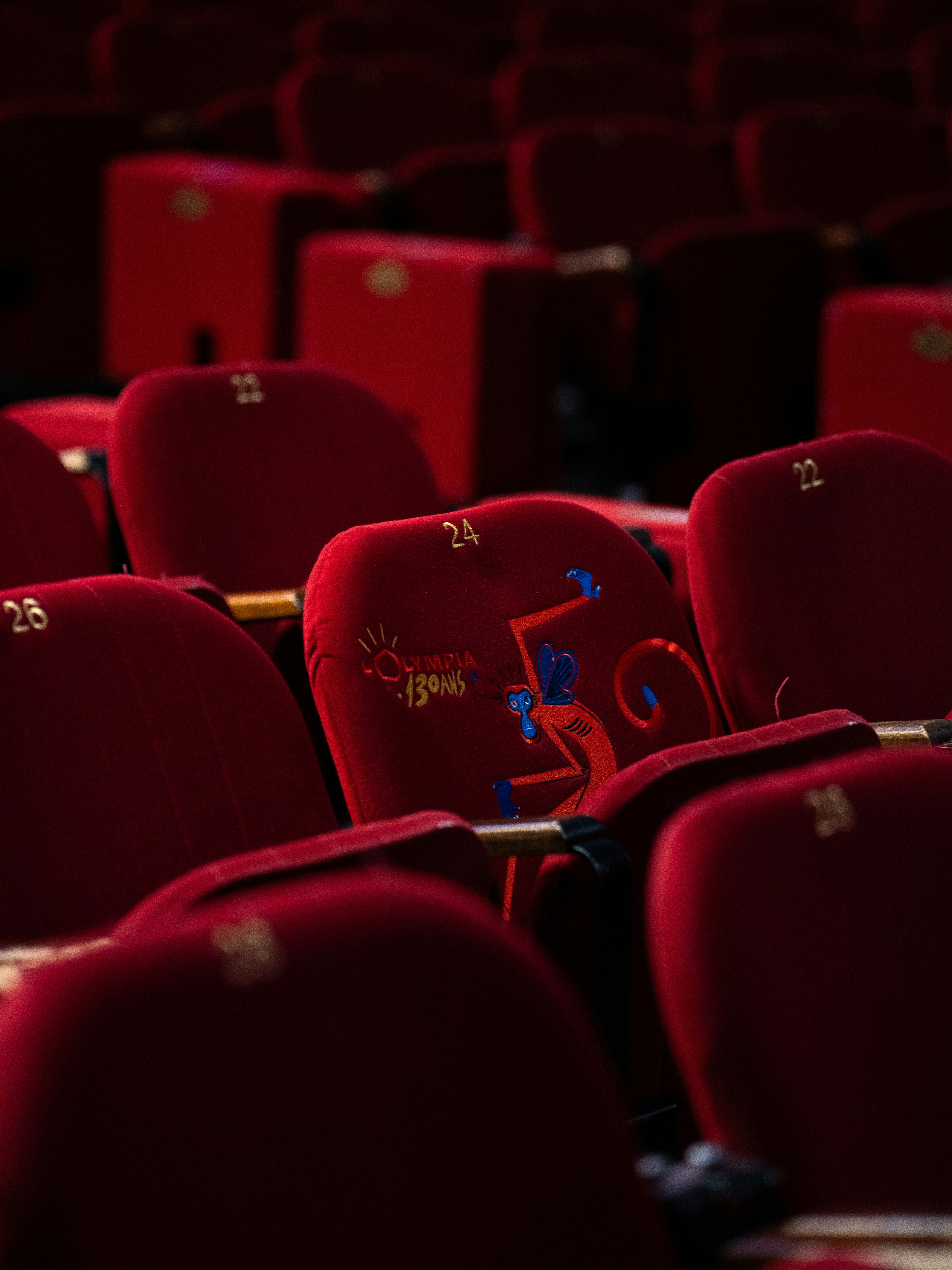 Muted Velvet Rows: A Spotlight on a Lonely Seat