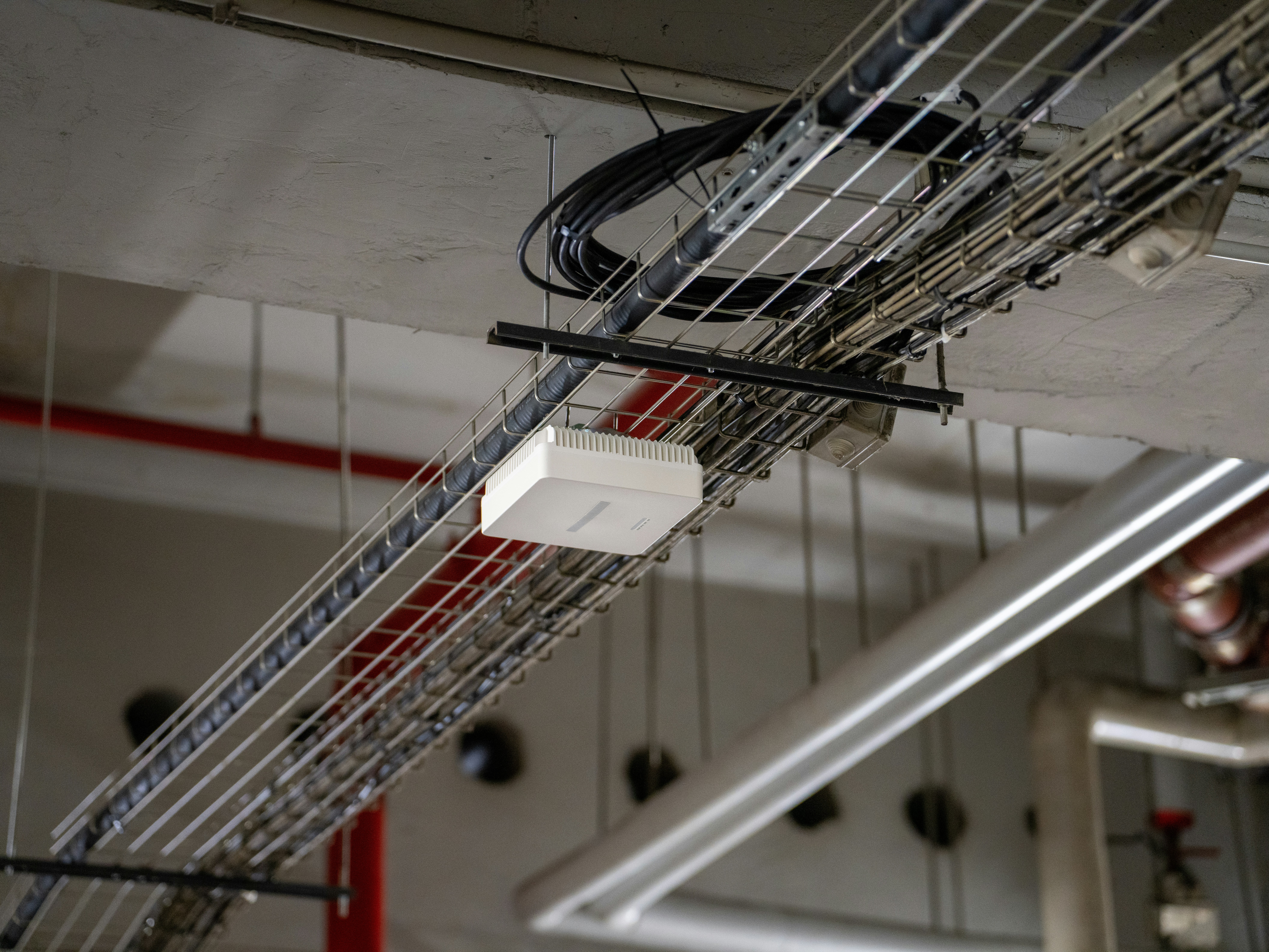 Industrial ceiling with cable trays, conduits, and a small white box mounted among metal structures. A technical space emphasizing infrastructure components.