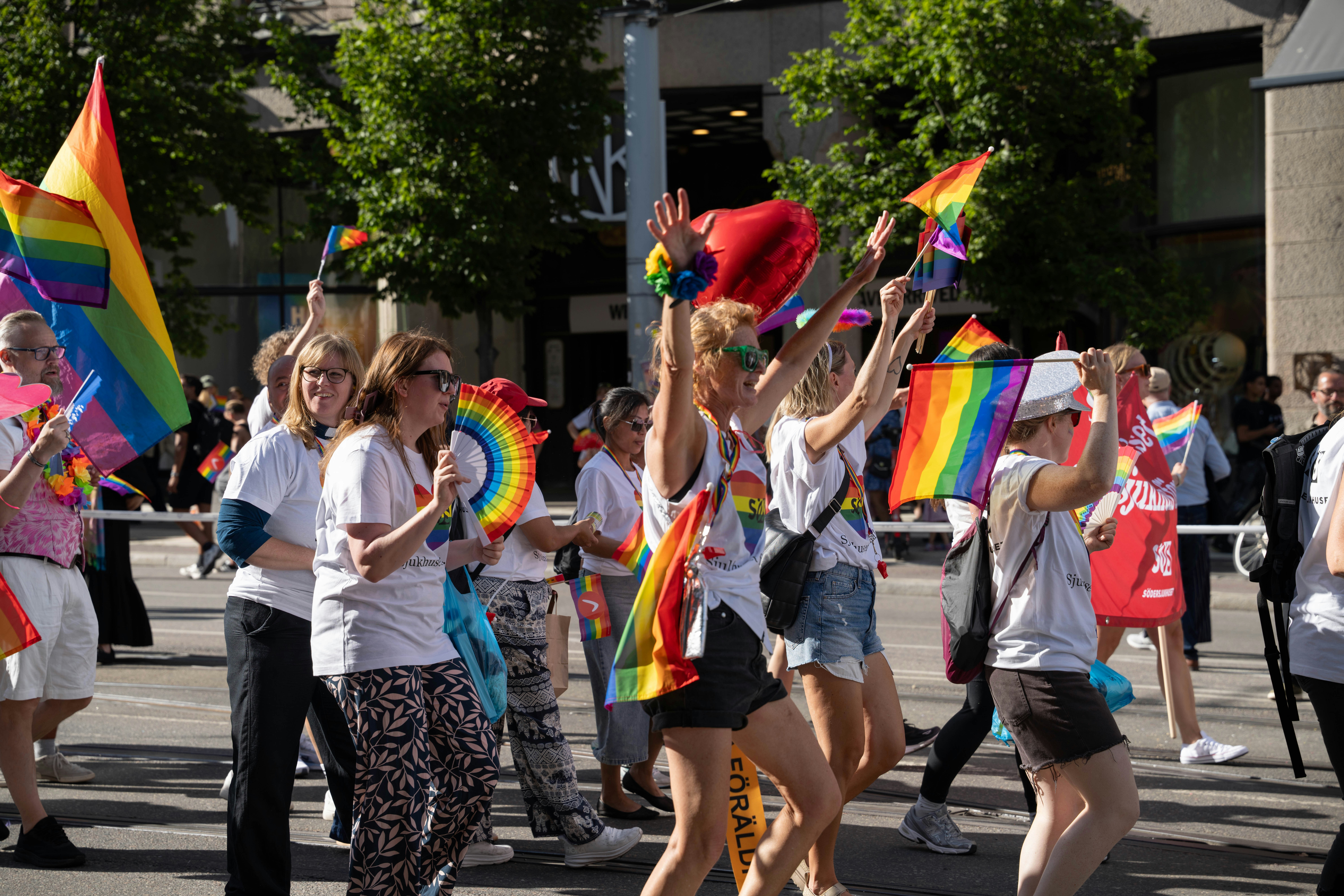 Celebration in Color: Pride Flags and Joyful Steps