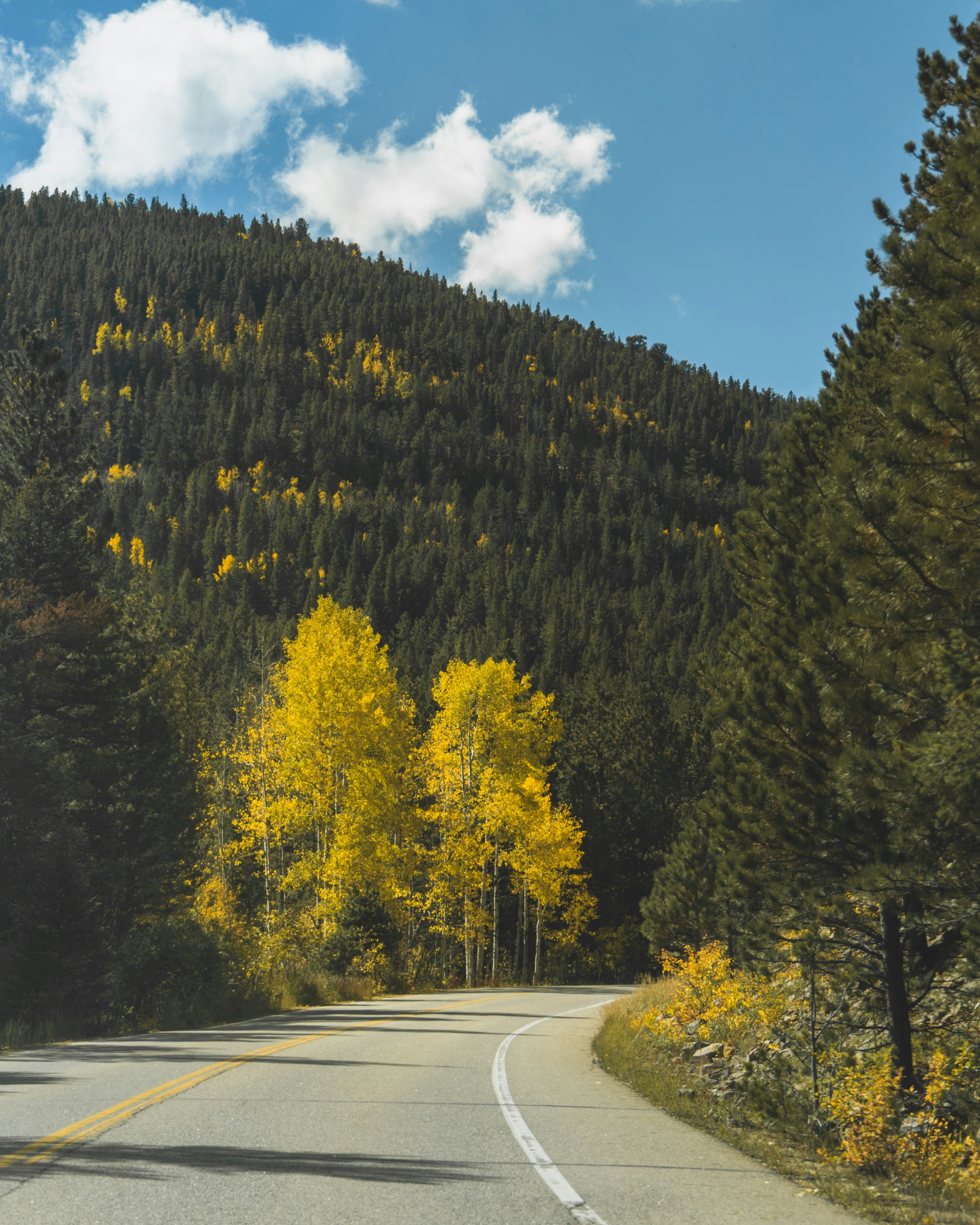 Autumn Road Through a Forested Mountain Pass