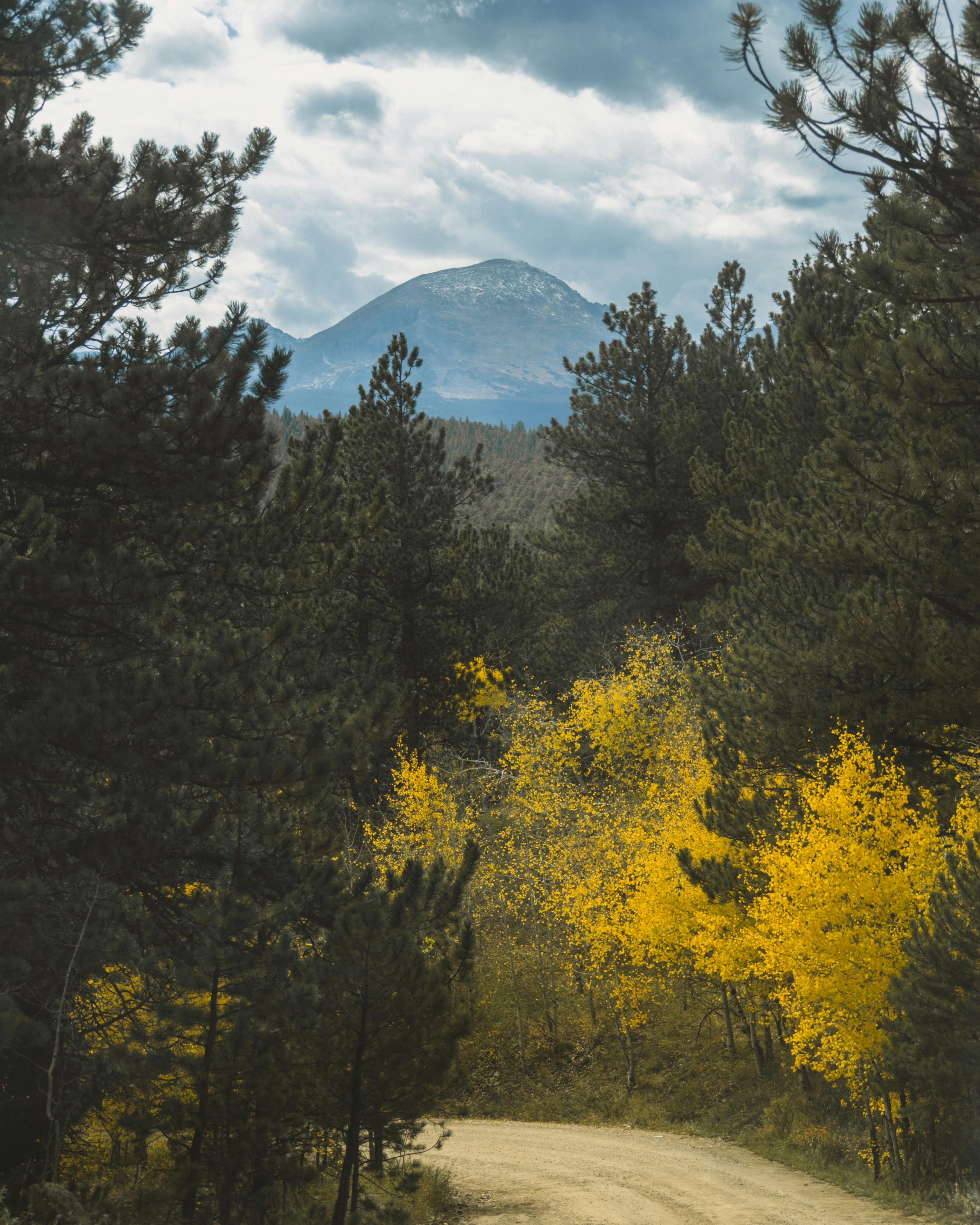 Autumn Trail Toward the Quiet Peak
