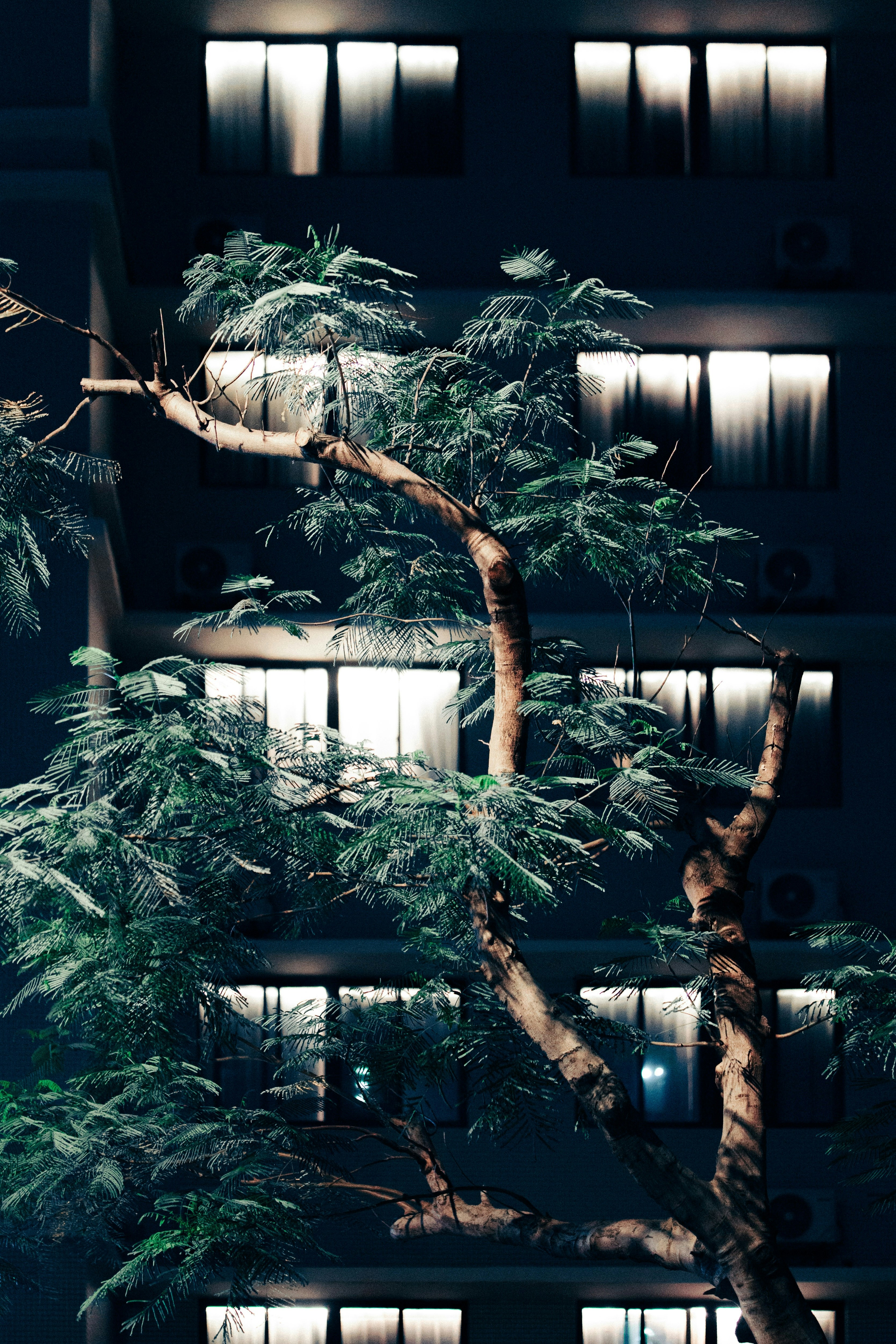 Urban Tree in Midnight Sepia: A Neon-Backlit Foliage Portrait