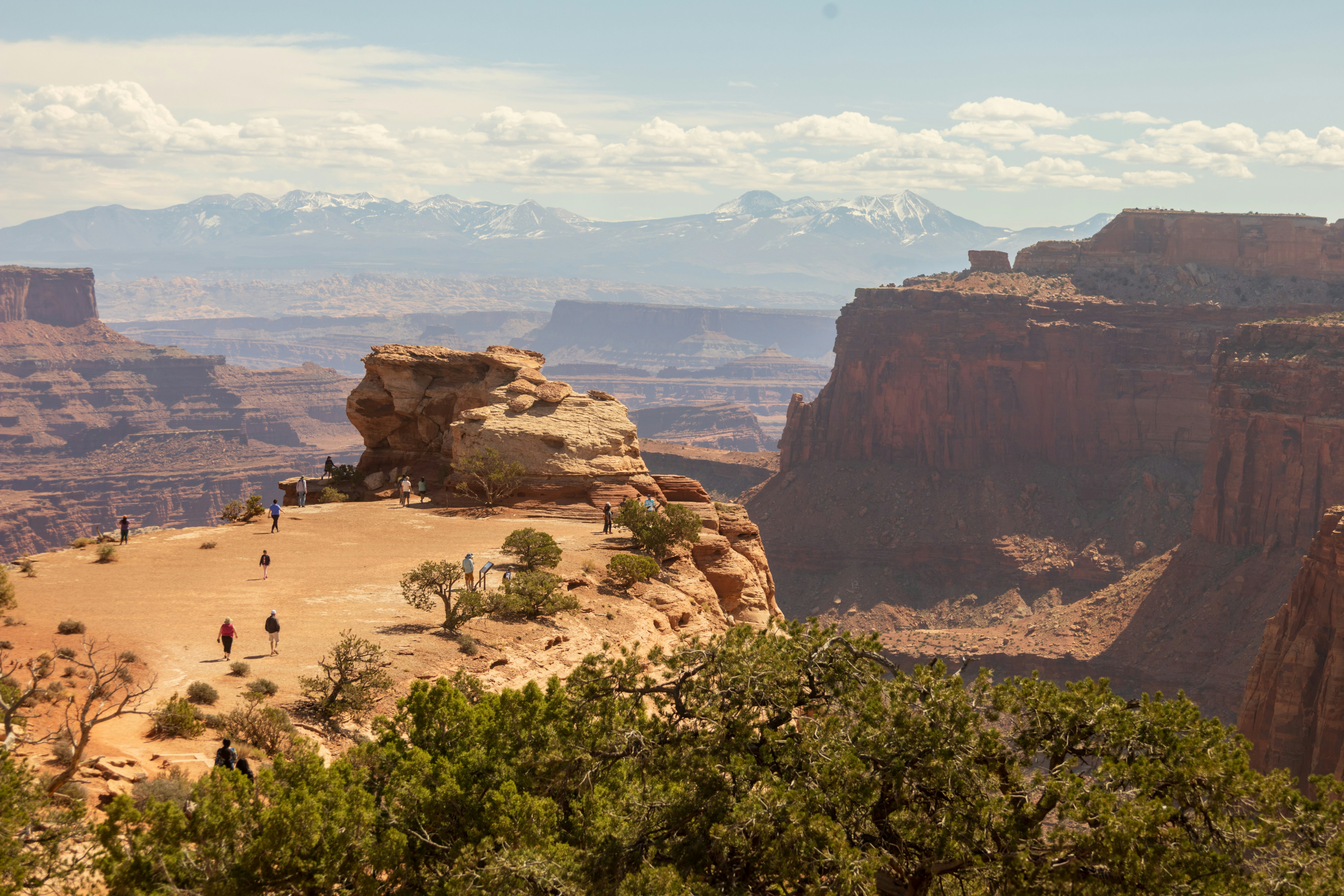Edge of the World: A Brush of Canyon Light