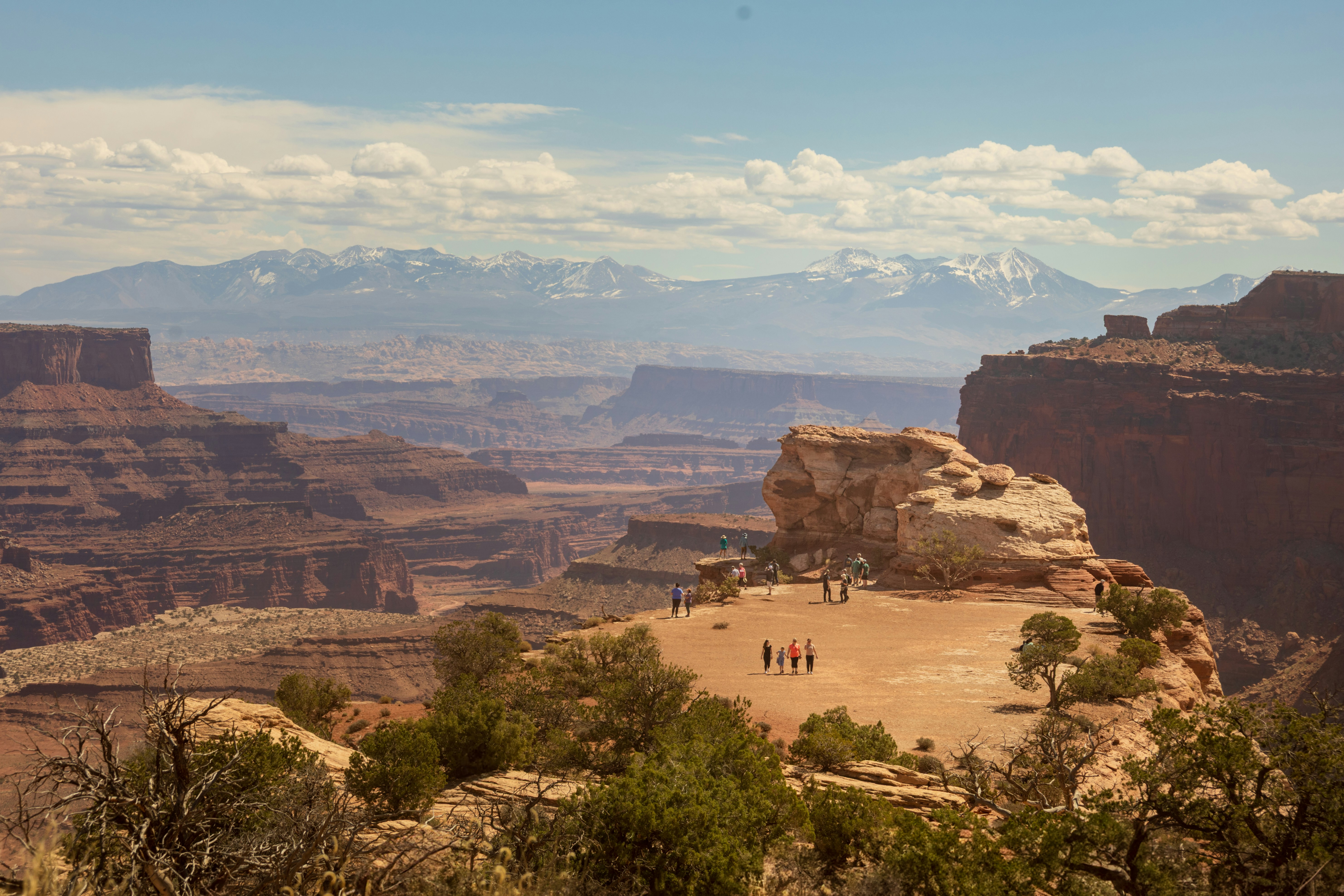 Edge of the Mesa: A Group at the Canyon's Curtain