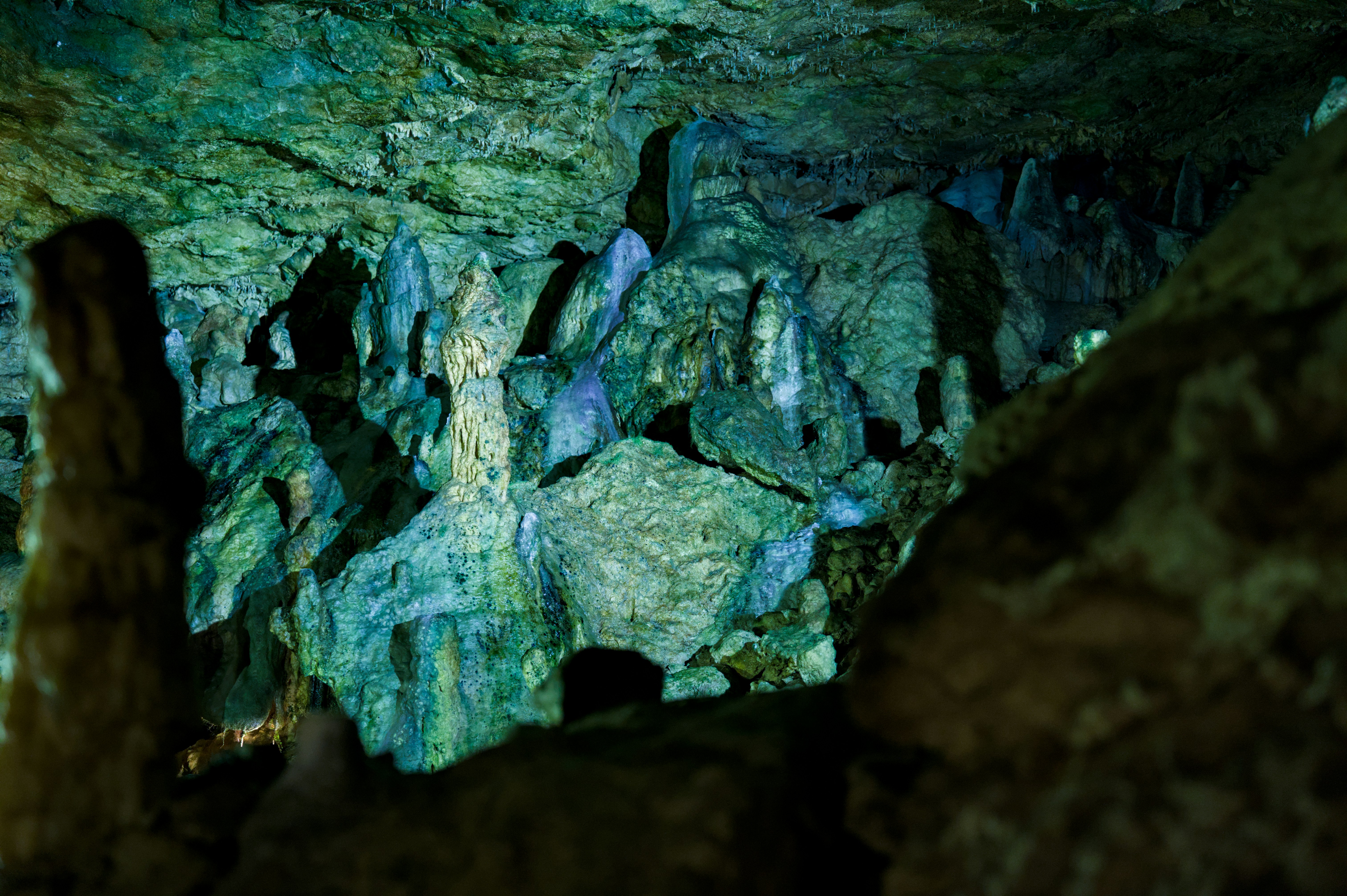 Emerald Cavern: Hidden Stalactites and Mossy Veins
