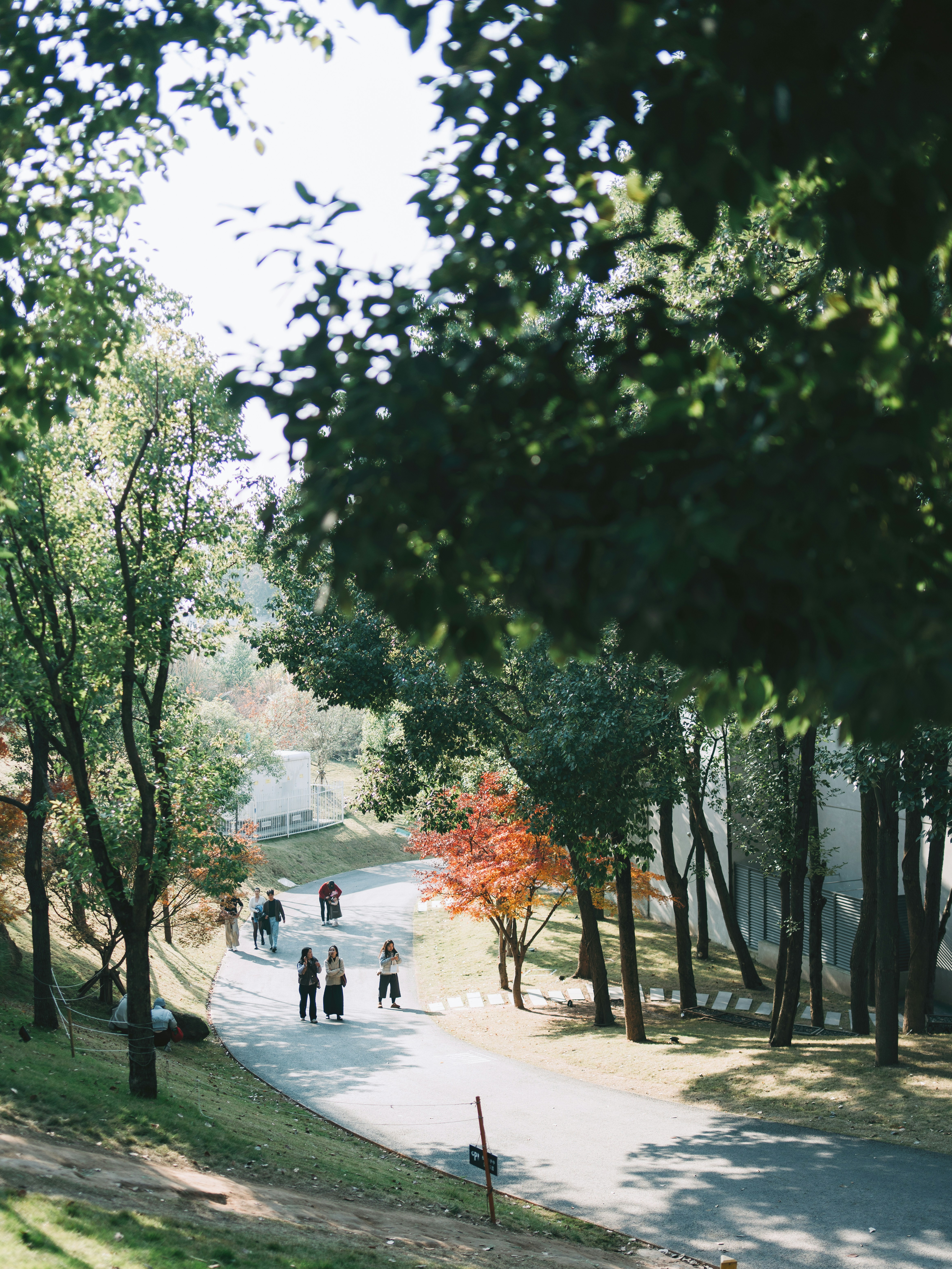 Photo by Leongsan with Sony Alpha 7C II
