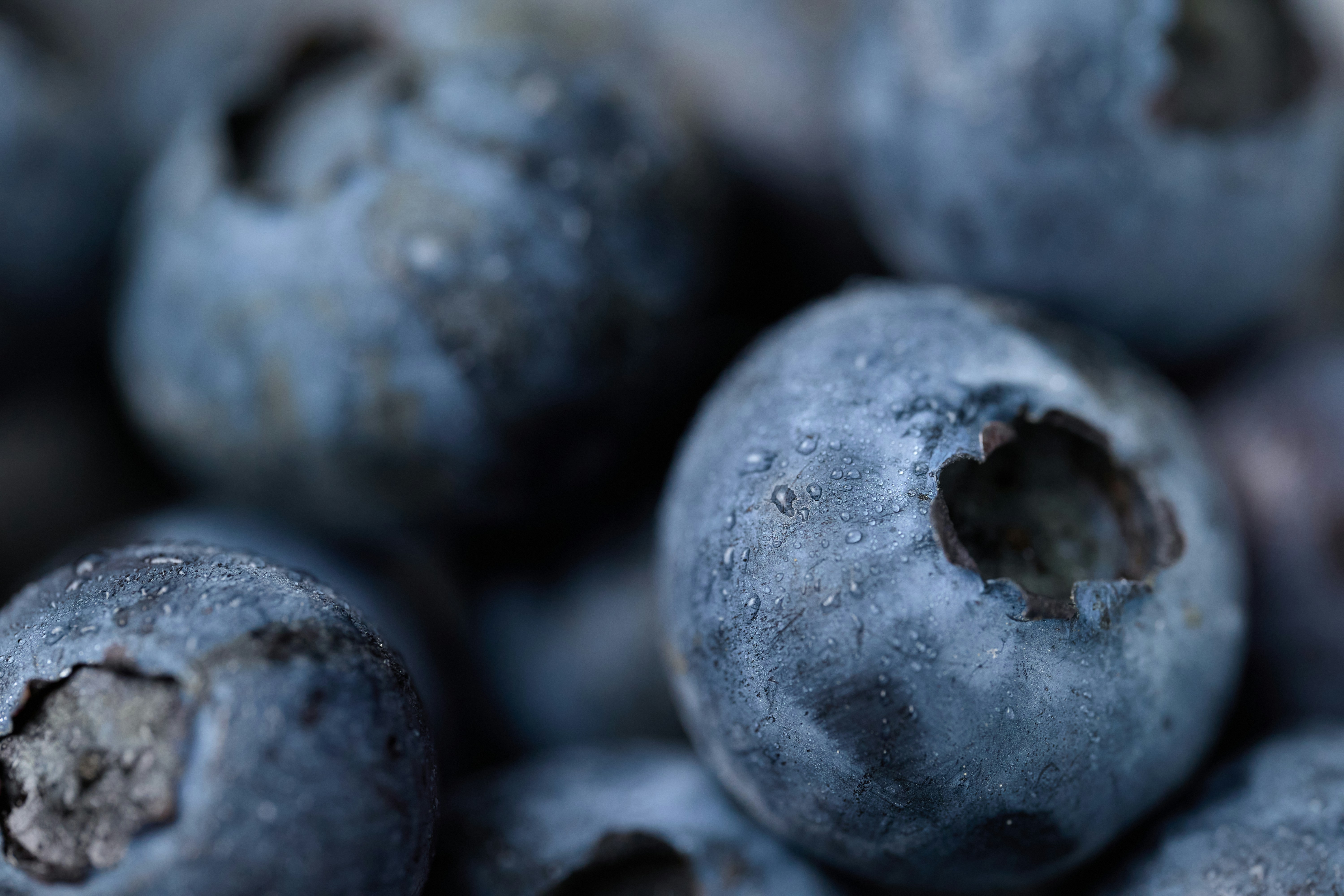 Blueberry Night: Dew-Cooled Close-Up on a Fleet of Frozen Berries