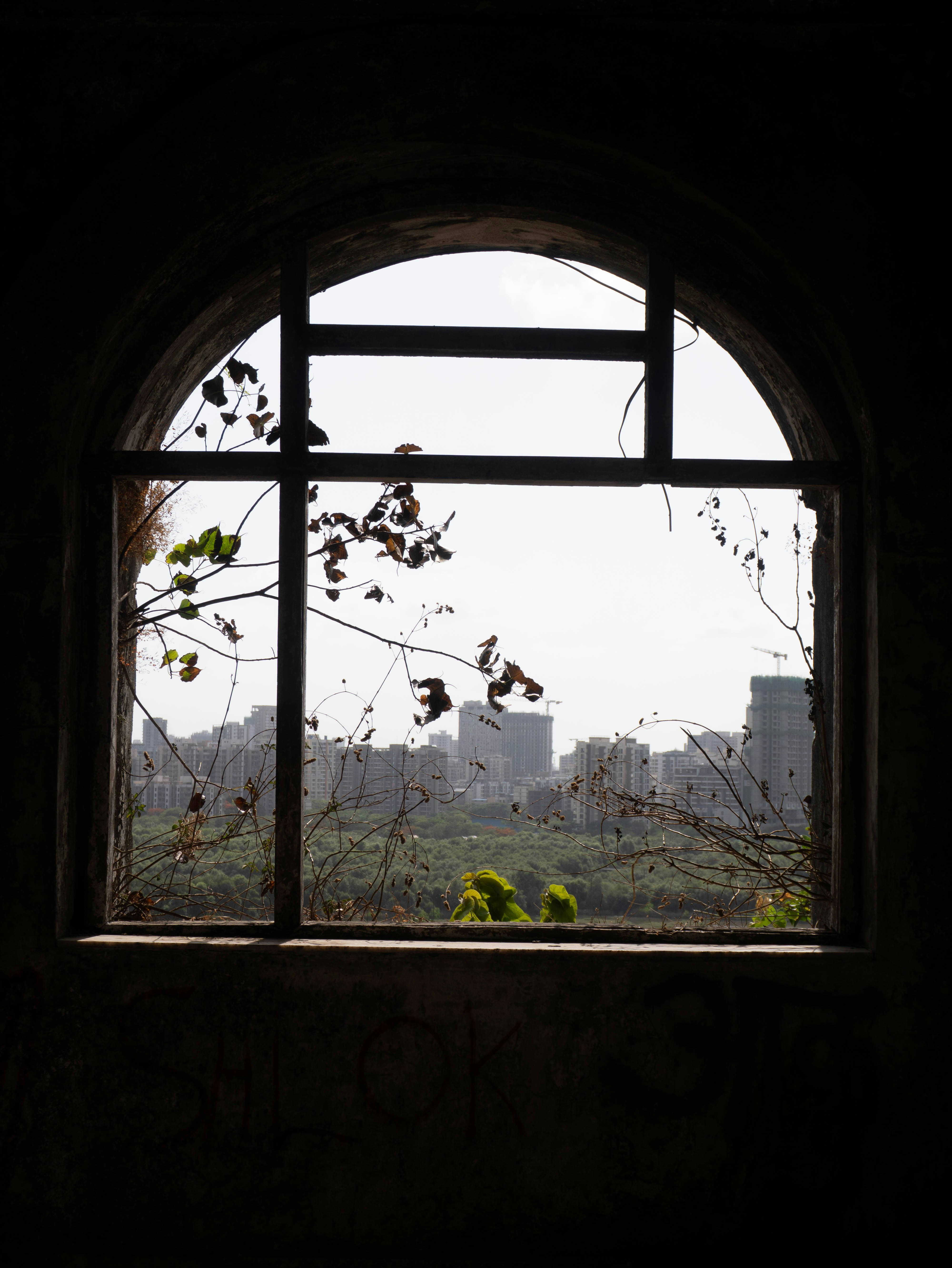 Overgrown Window to a Distant Skyline
