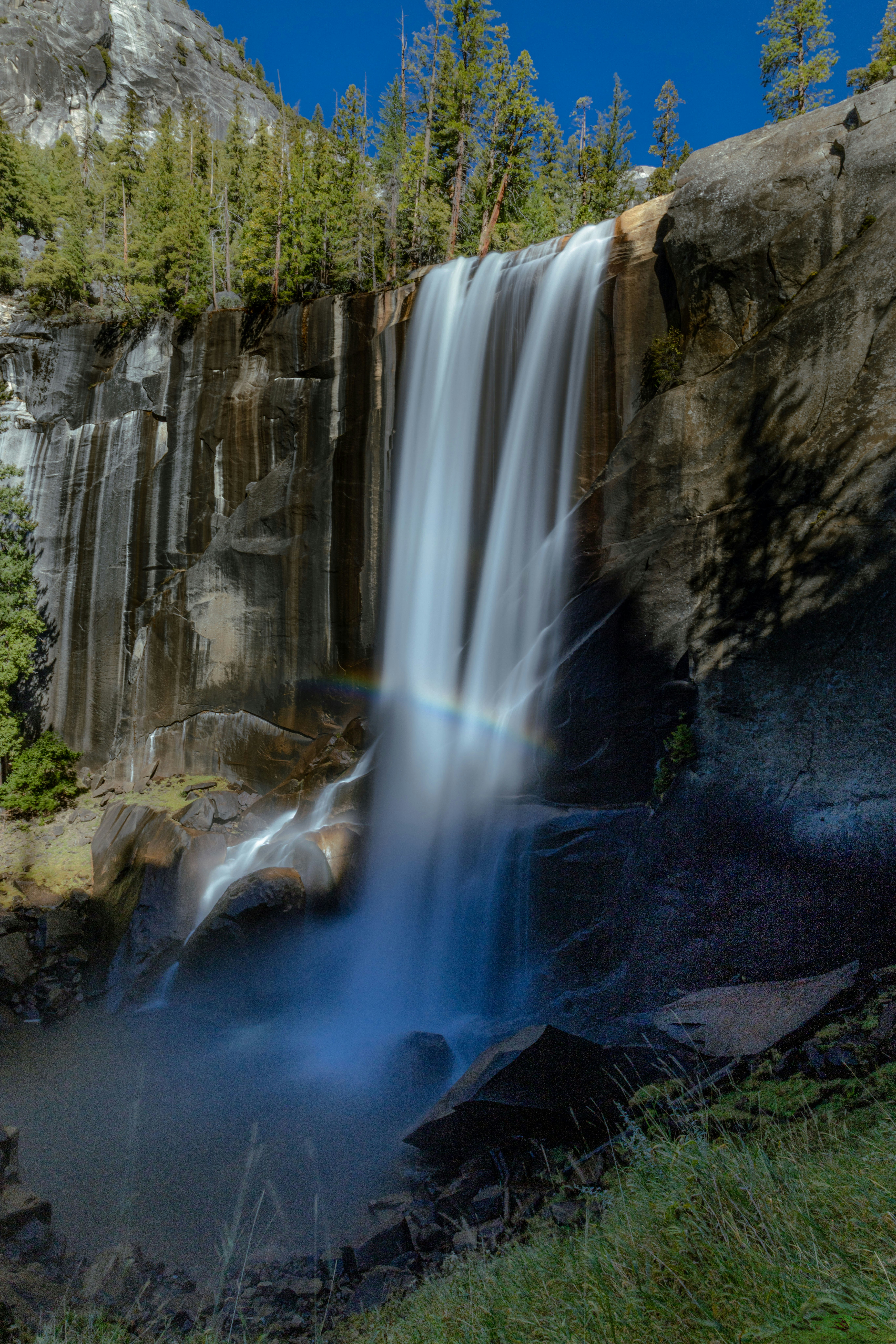 Cascading Blue Veil Over basalt cliffs beneath a pine-towned edge