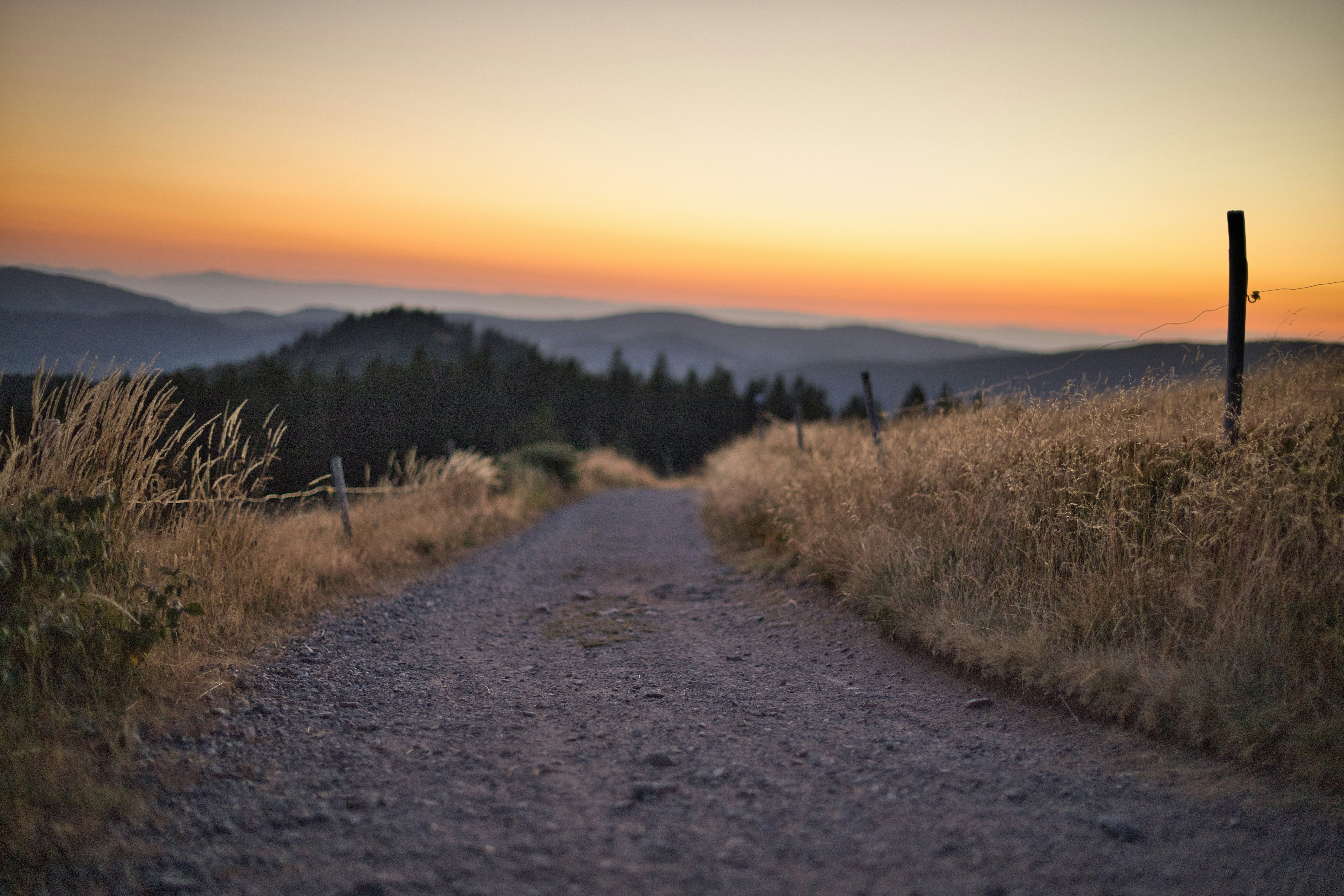 Distant Horizon Path at Sunset