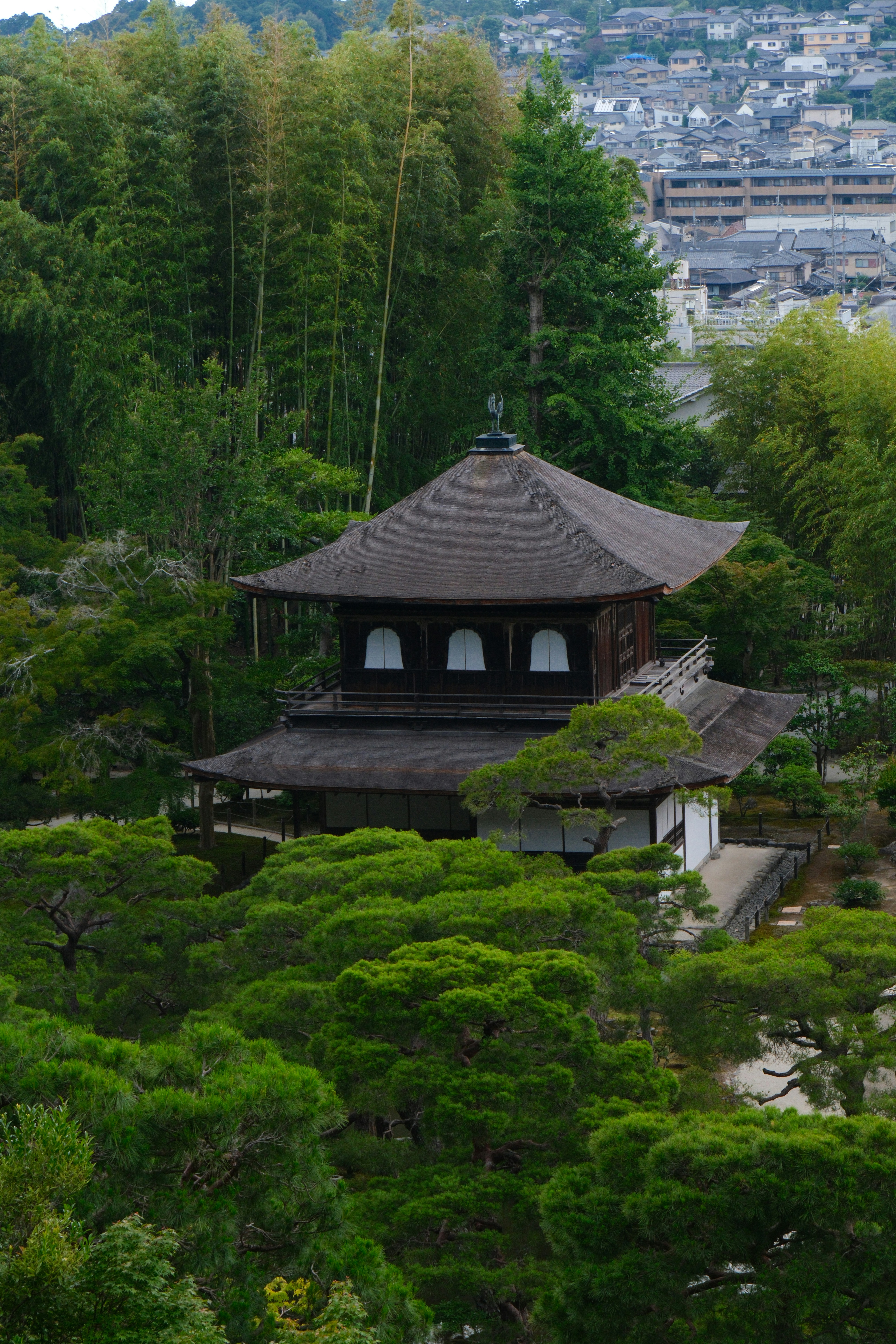 Temple in the Green Cloak: A Quiet Valley Pagoda Amid Bamboo and Urban Backdrop