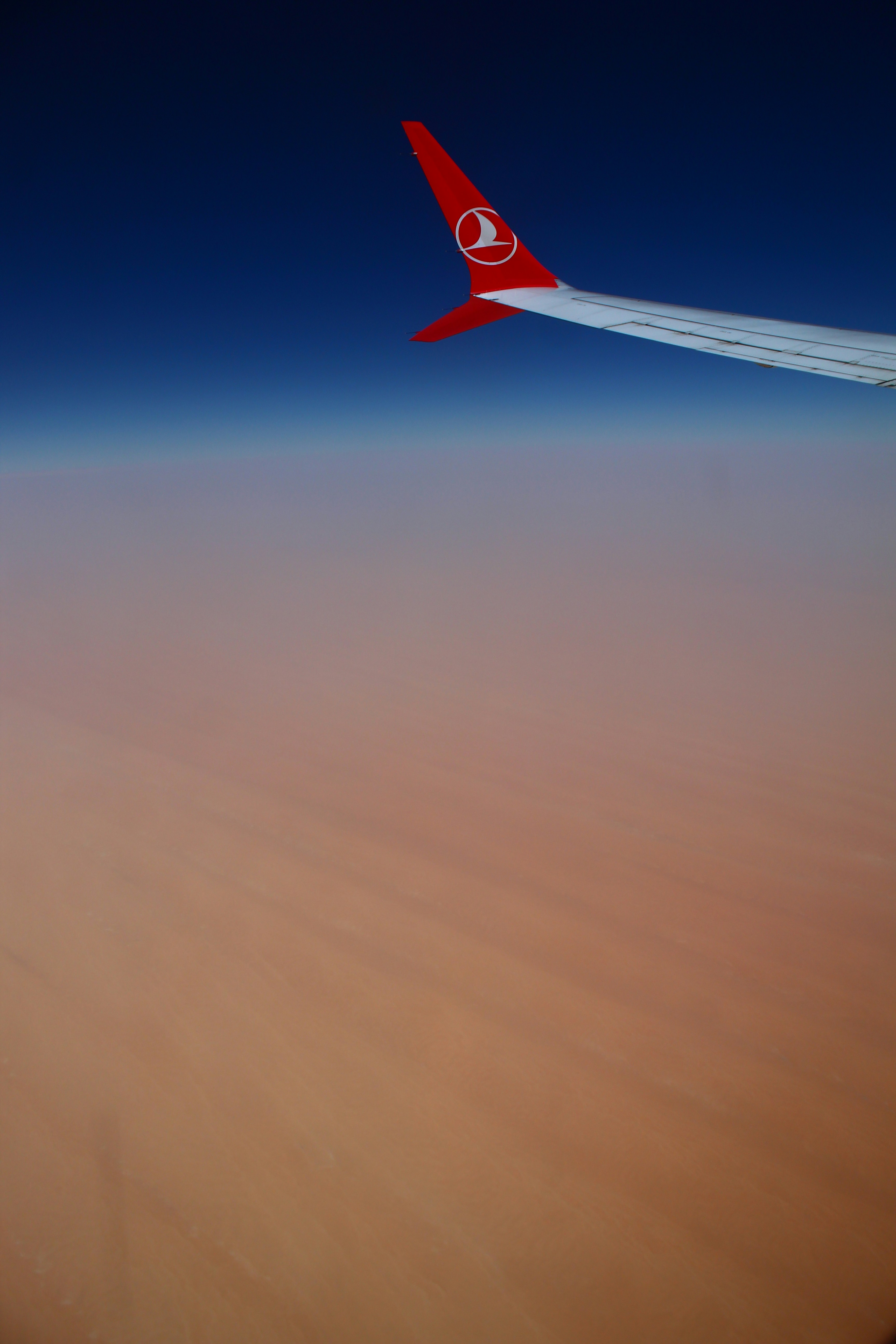 Red Wing Over the Reddish Horizon: Aerial Silence