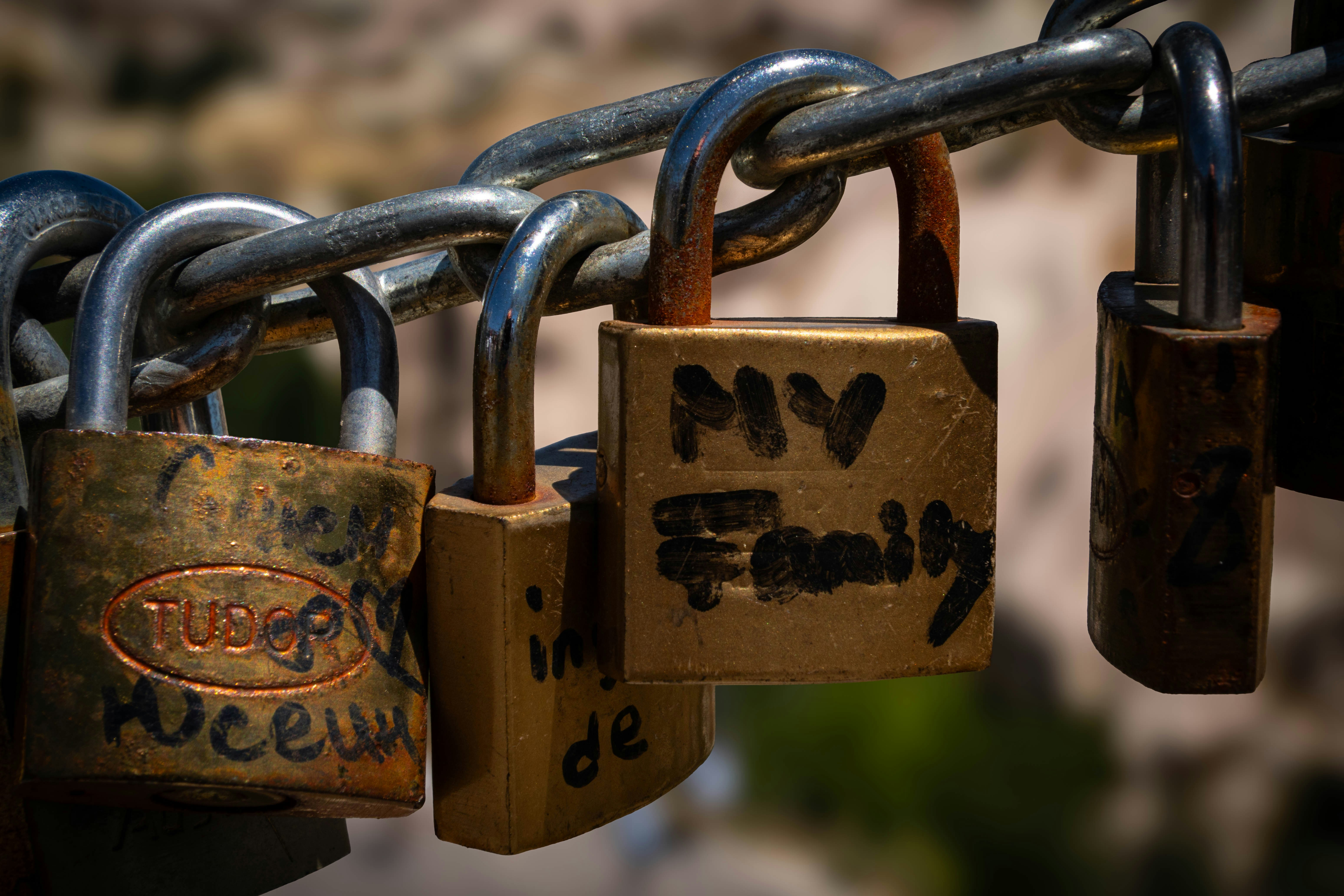 Branded Bond: A Row of Lock-and-Chain Locks on a Fence