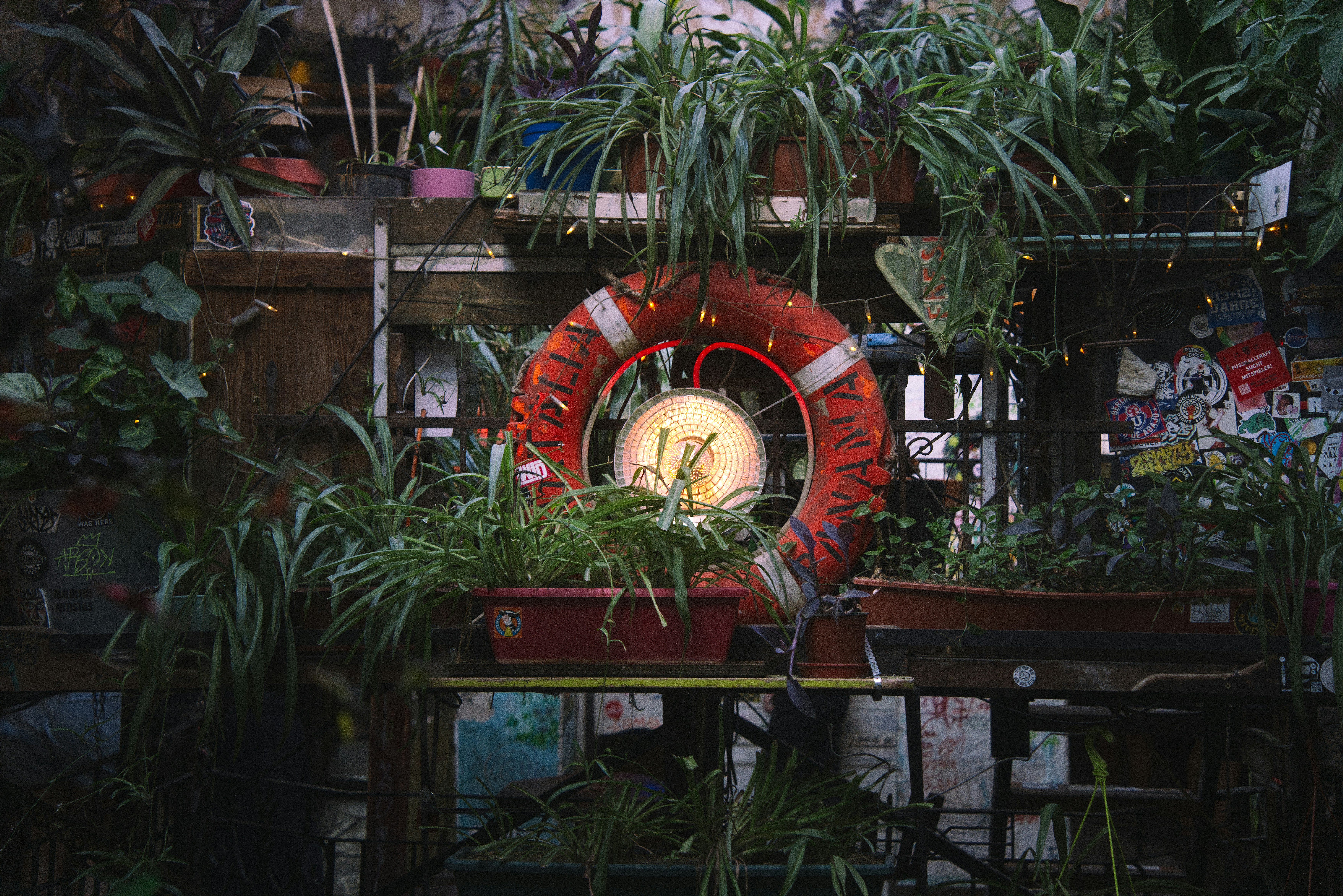 A Life Ring Glows Amid Indoor Jungle and Graffiti Light
