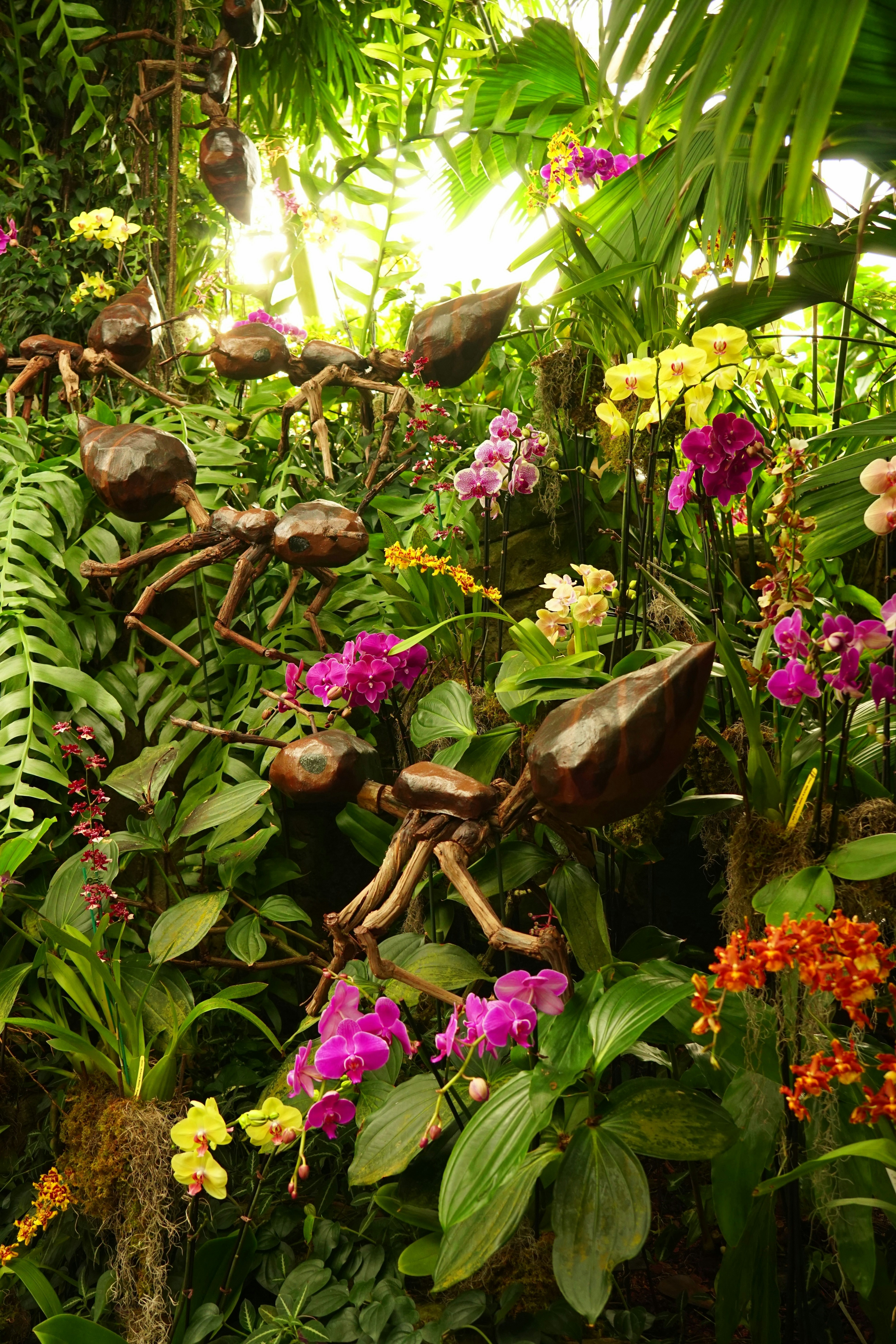 Ironwood Sculptures Among the Orchid Drift