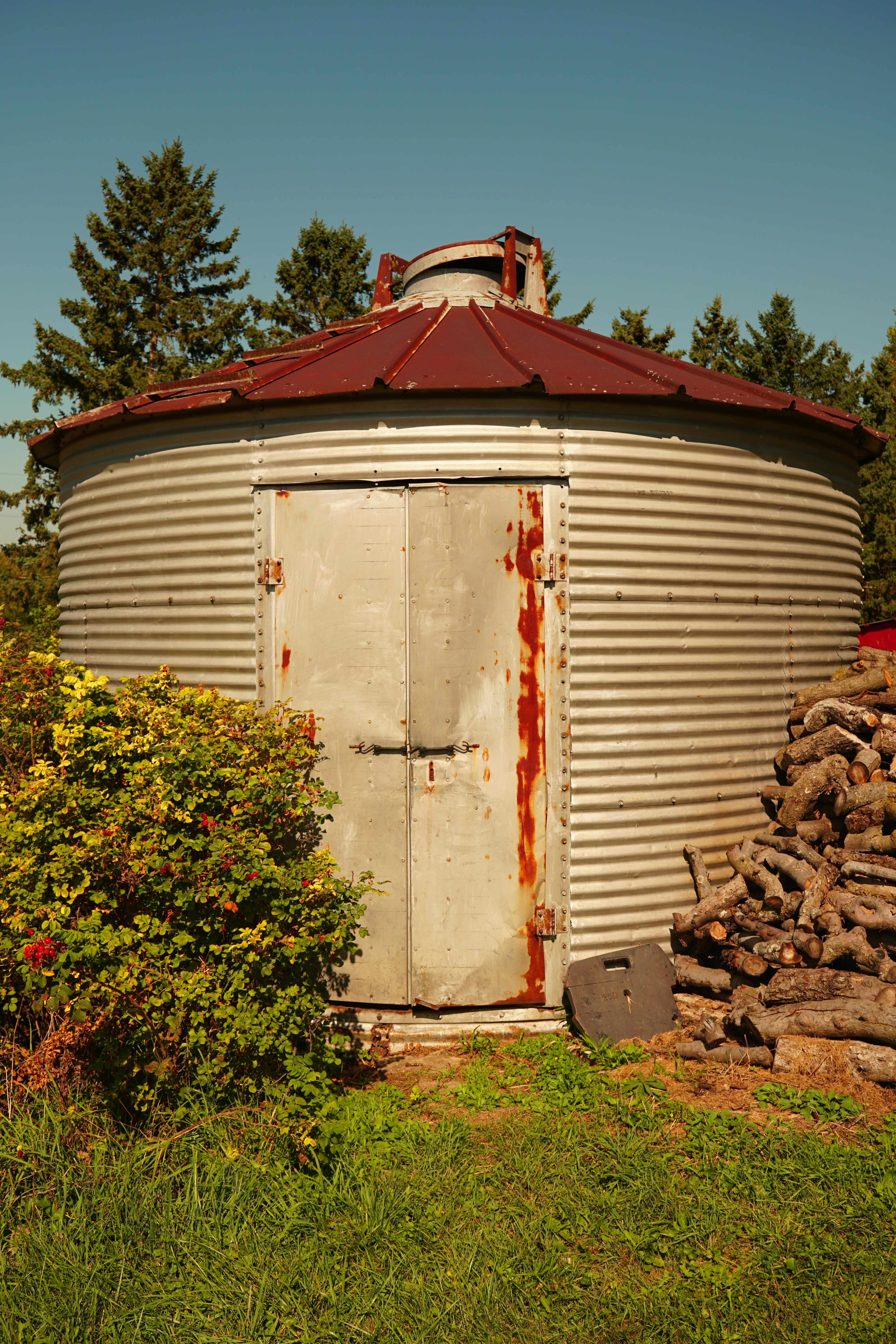 Rust and Tin: A Quiet Silo Standing Against the Pines