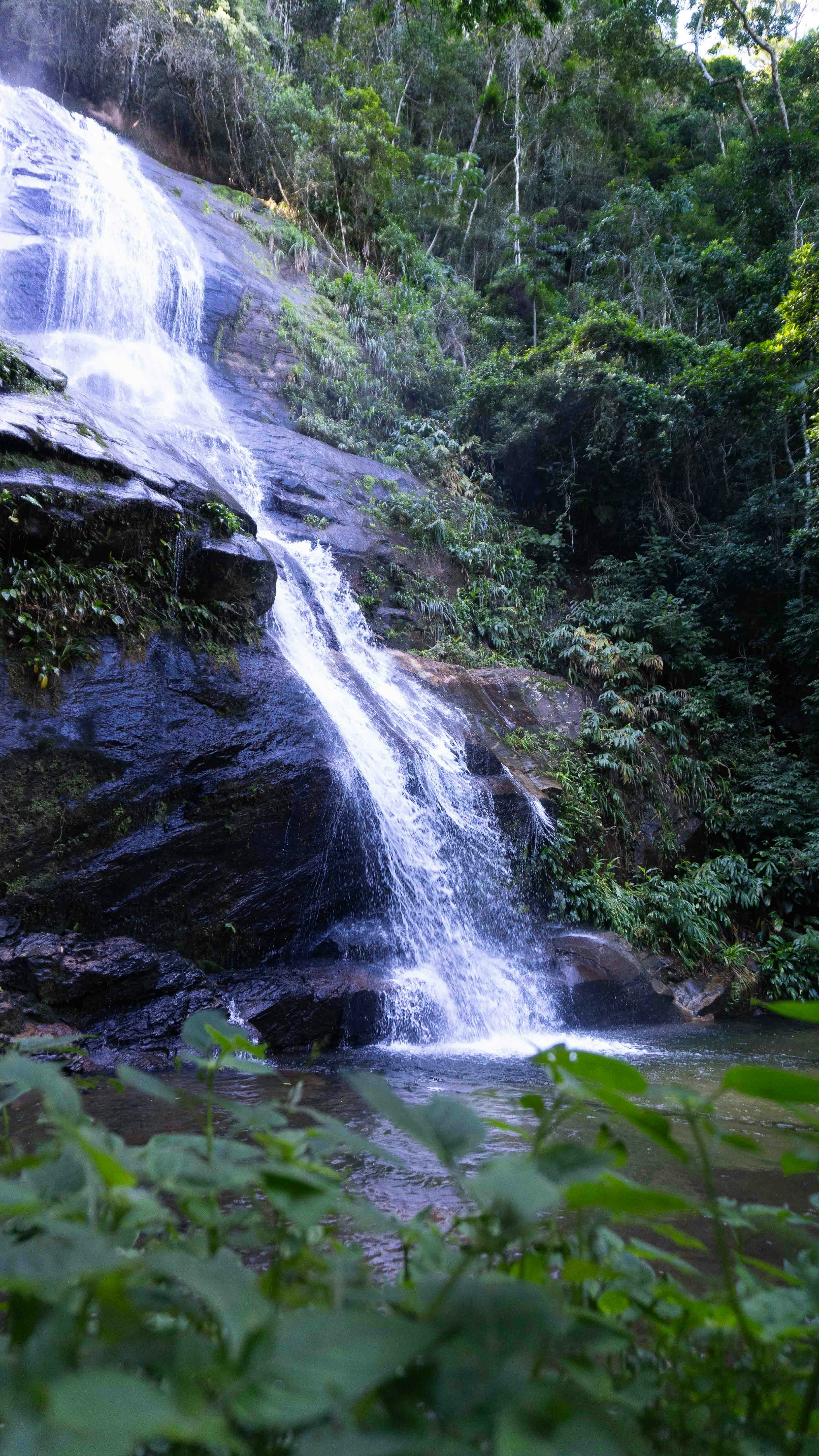 Whispering Falls: A Green Corridor Unfolding Down the Rock Face