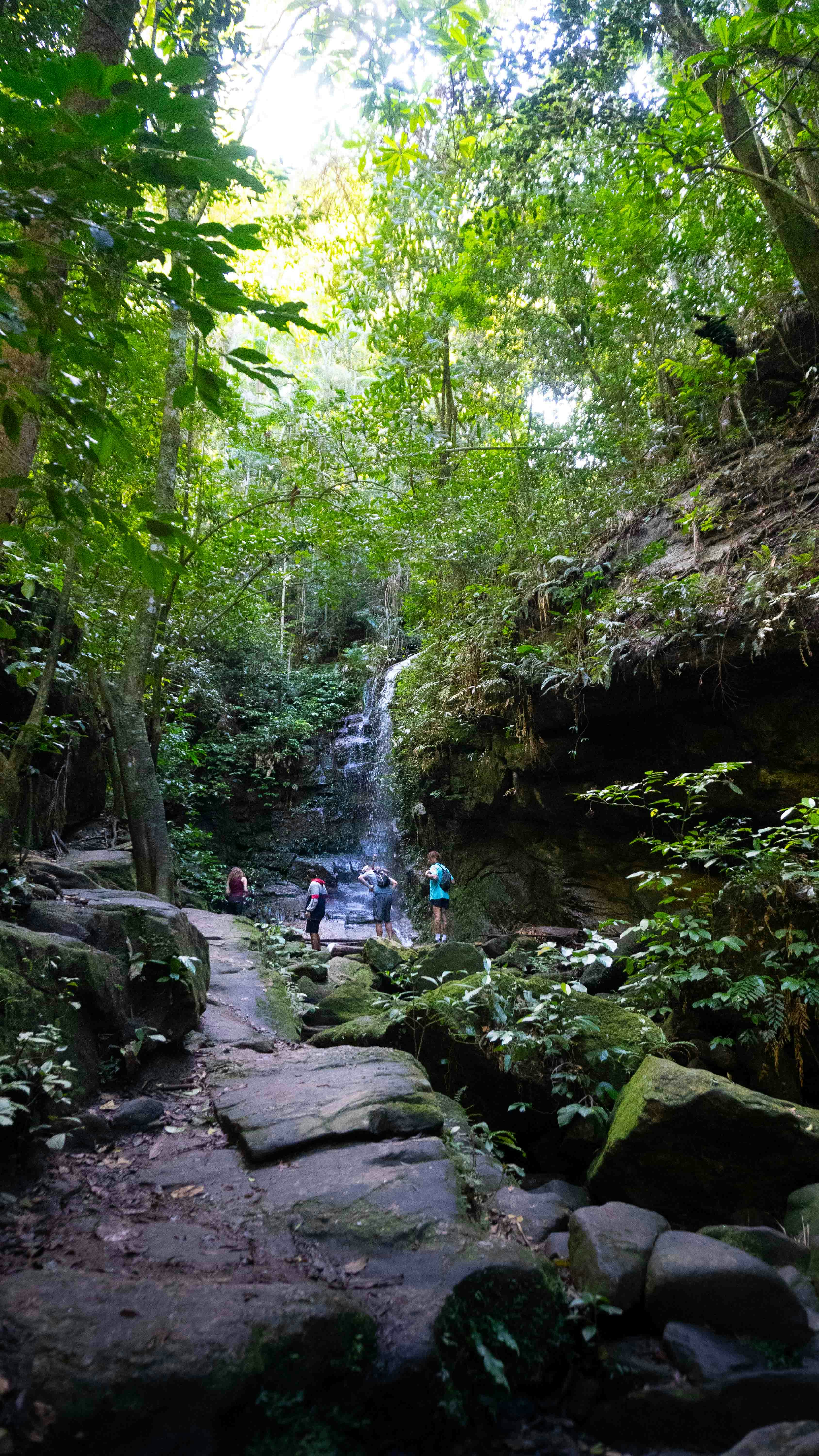 Ridgetop Cascade: hikers at a mossy forest waterfall