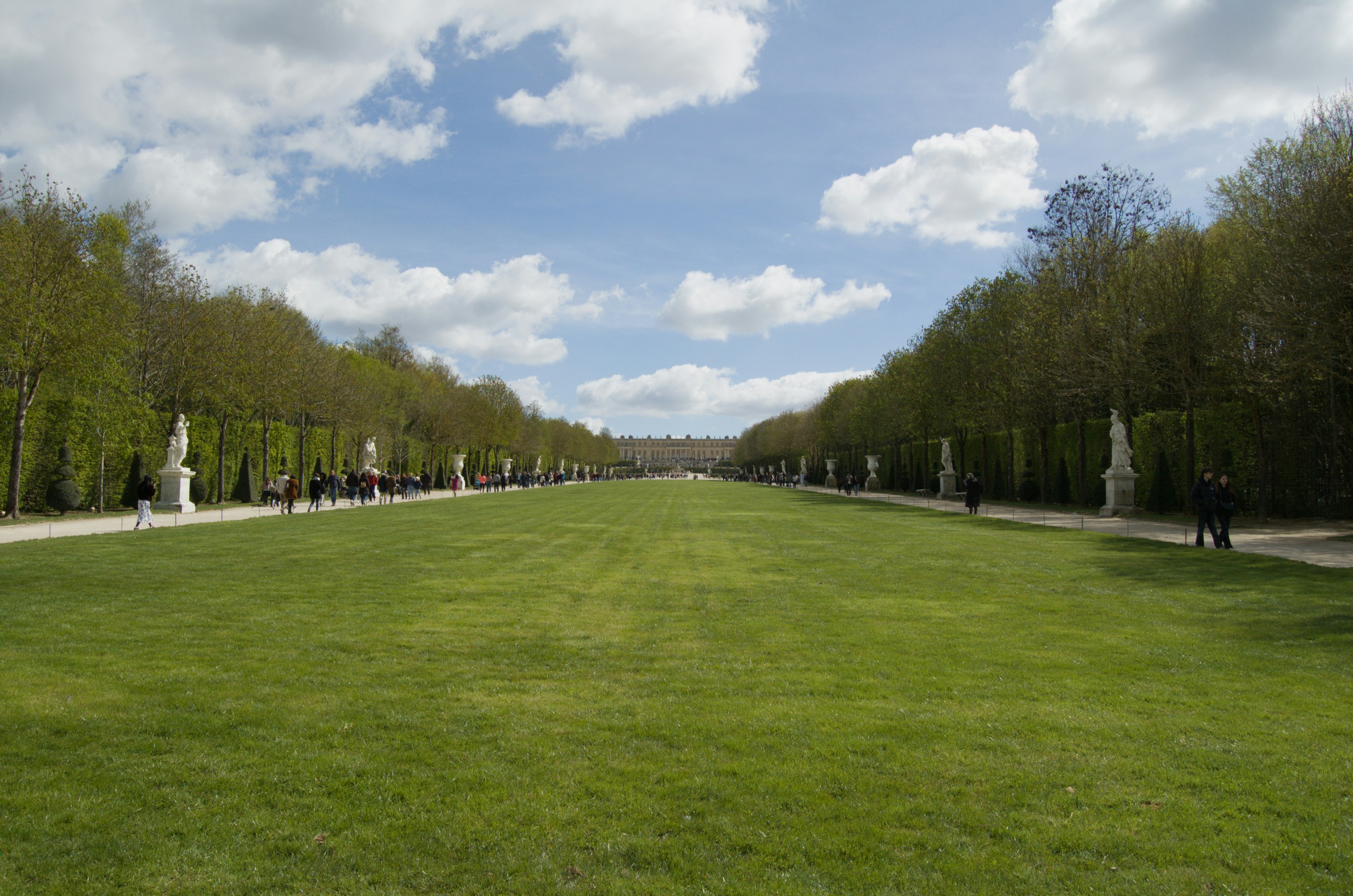 The Green Avenue: A Symmetrical Park Path Toward the Distant Axis