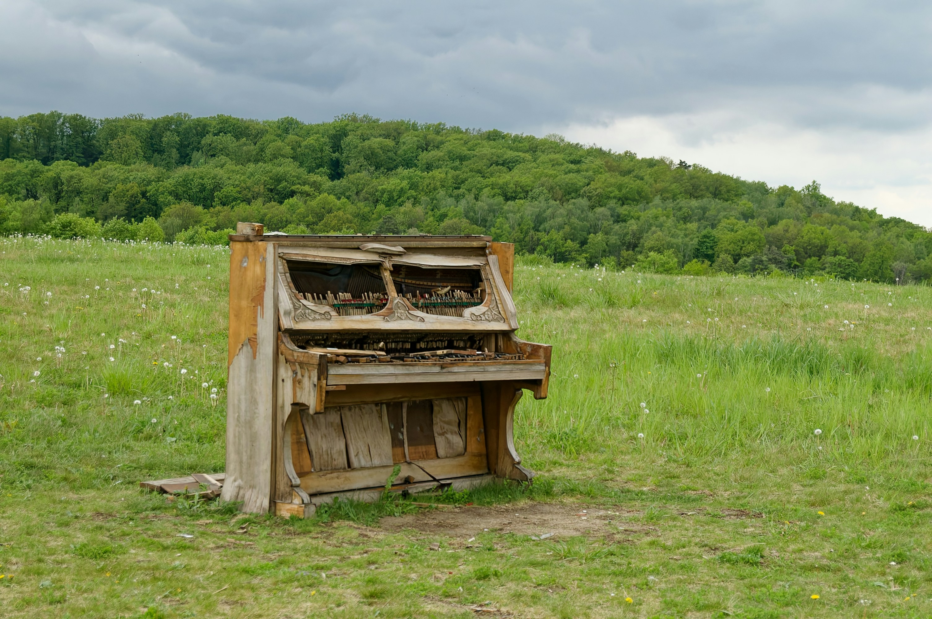 Forgotten Piano in a Green Field Under a News-gray Sky