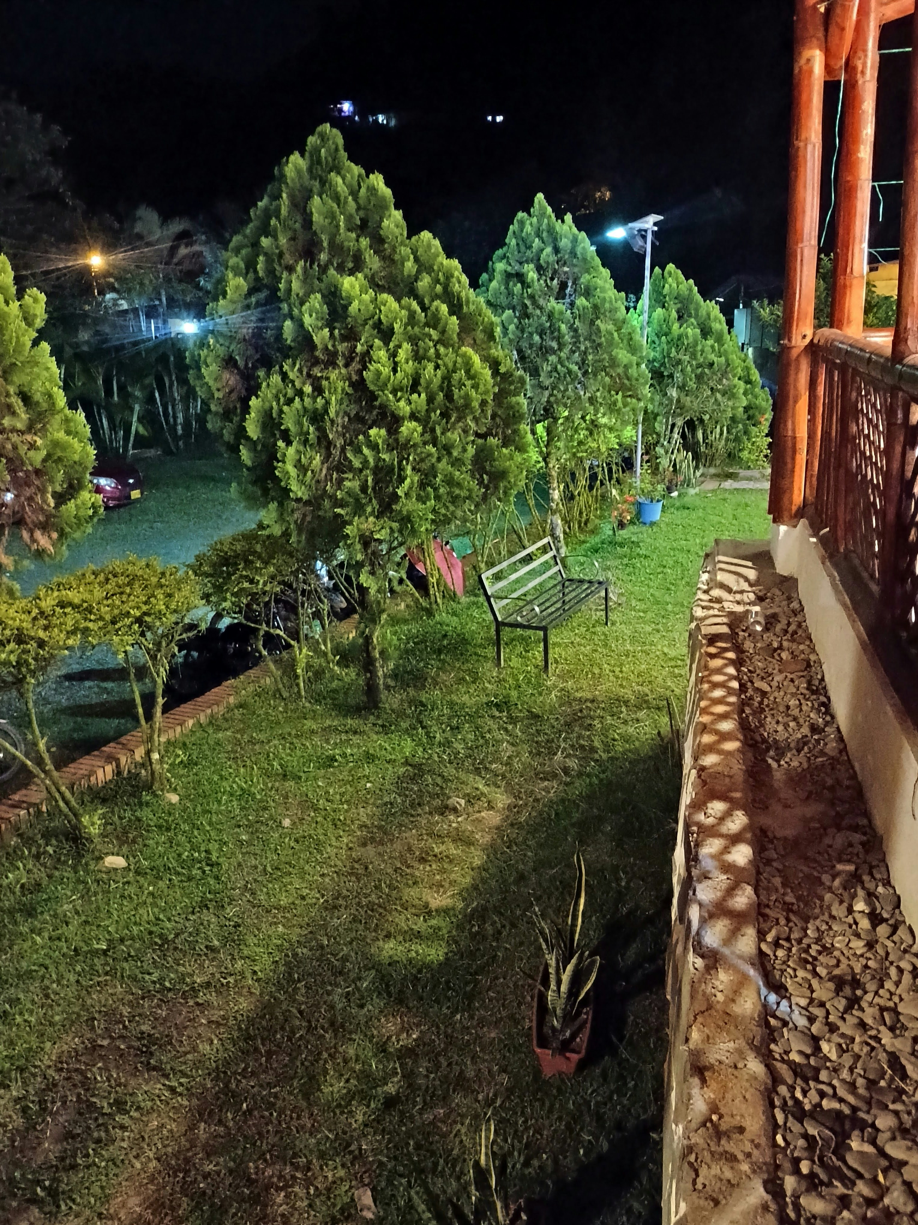 Moonlit Garden Bench Under a Row of Pines
