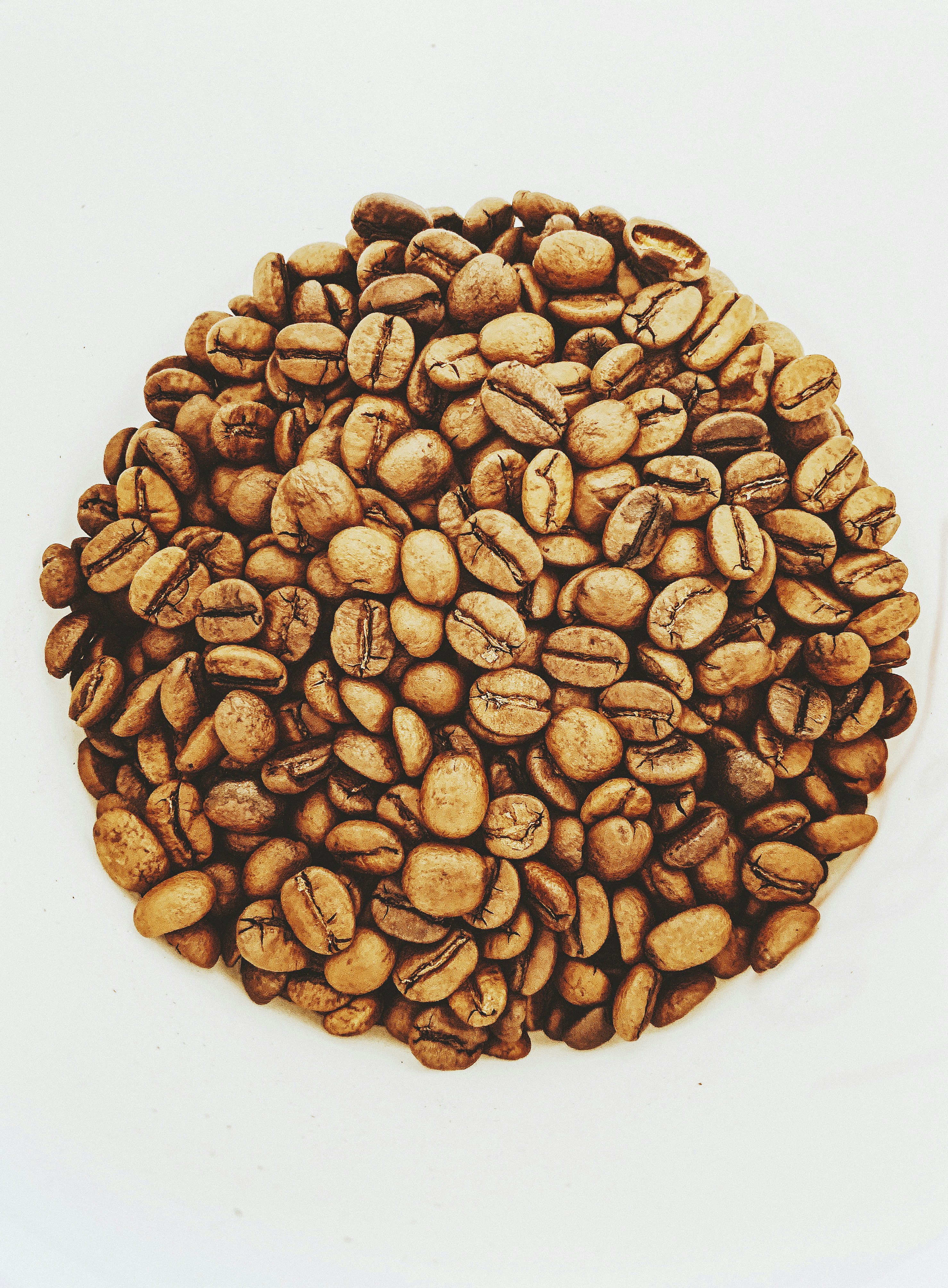 Circular Roast: A Rich Ring of Coffee Beans