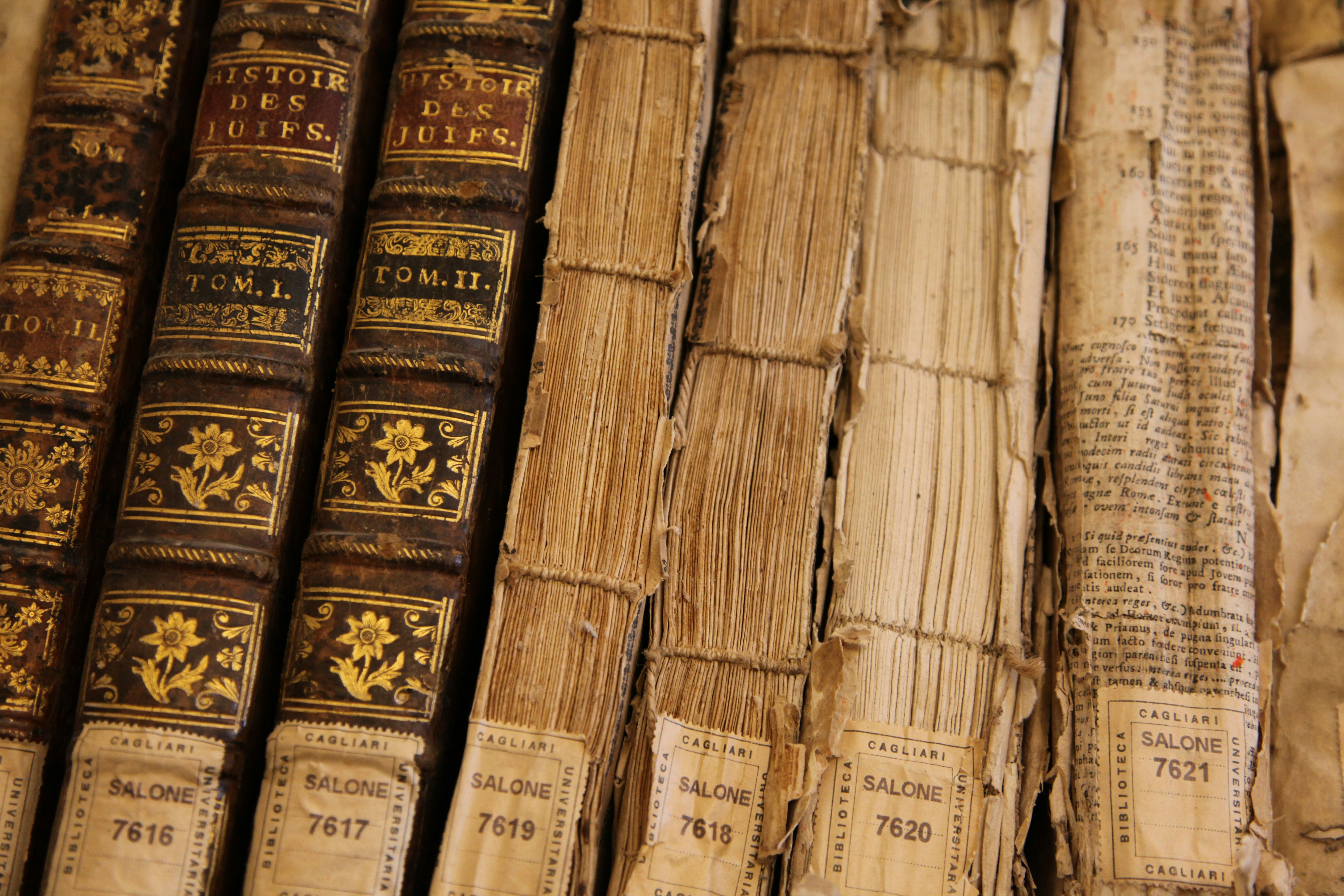 A Quiet Shelf of Time: Antiquarian Volumes in Warm Sepia