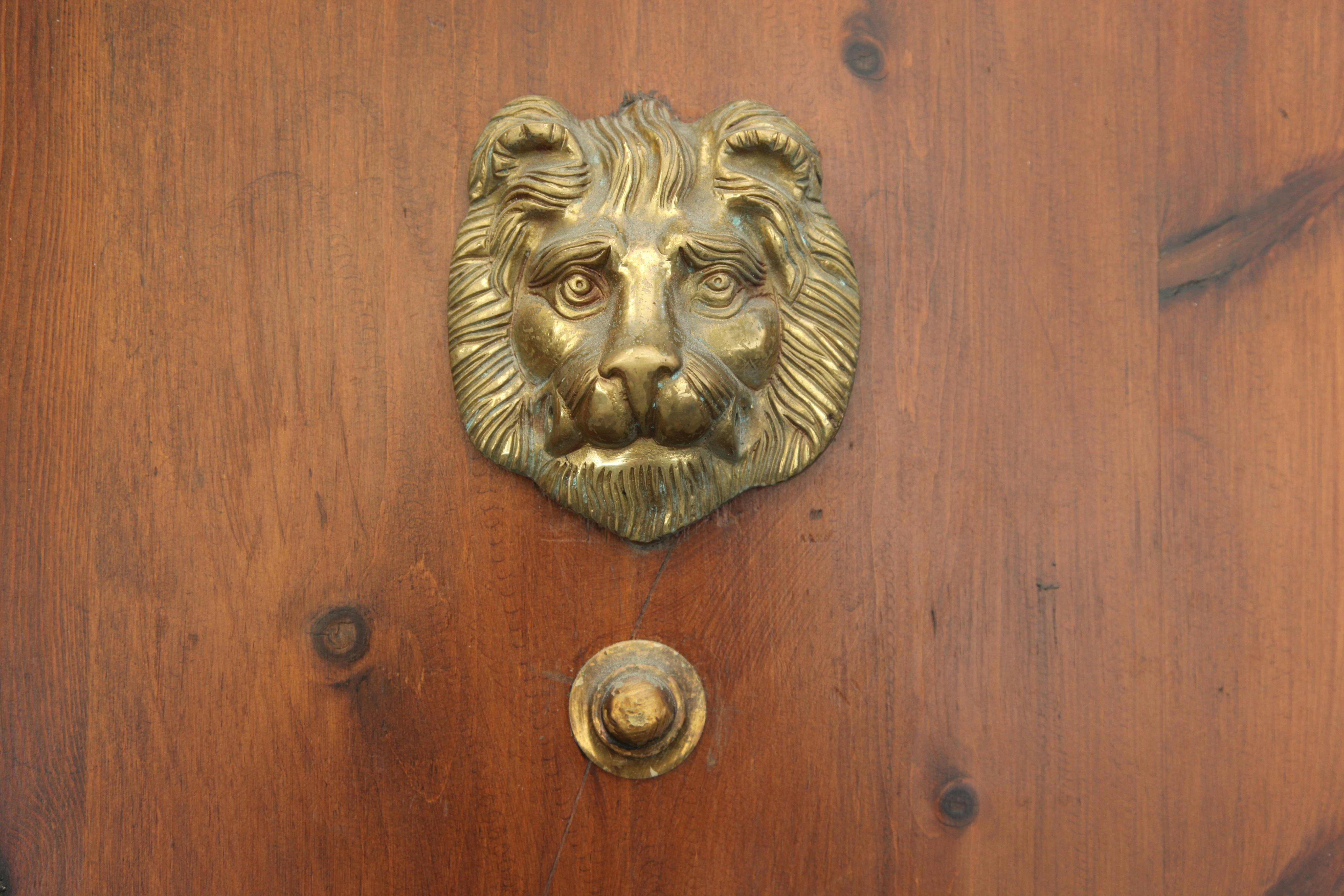 Brass Lion Knocker Guarding a Wooden Door