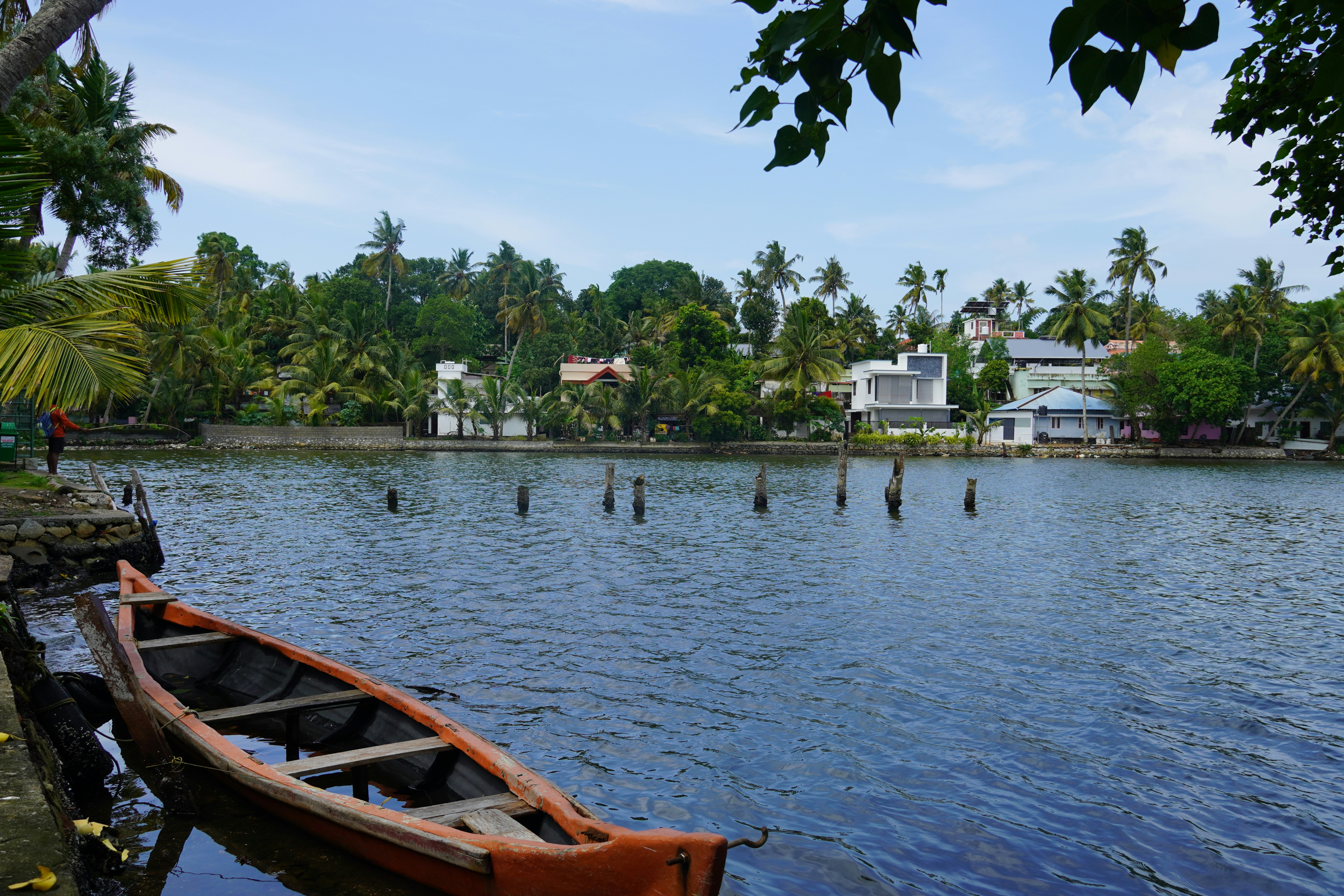 Quiet Coastal Boatside: Palm-Canopied Homes Across a Calm River