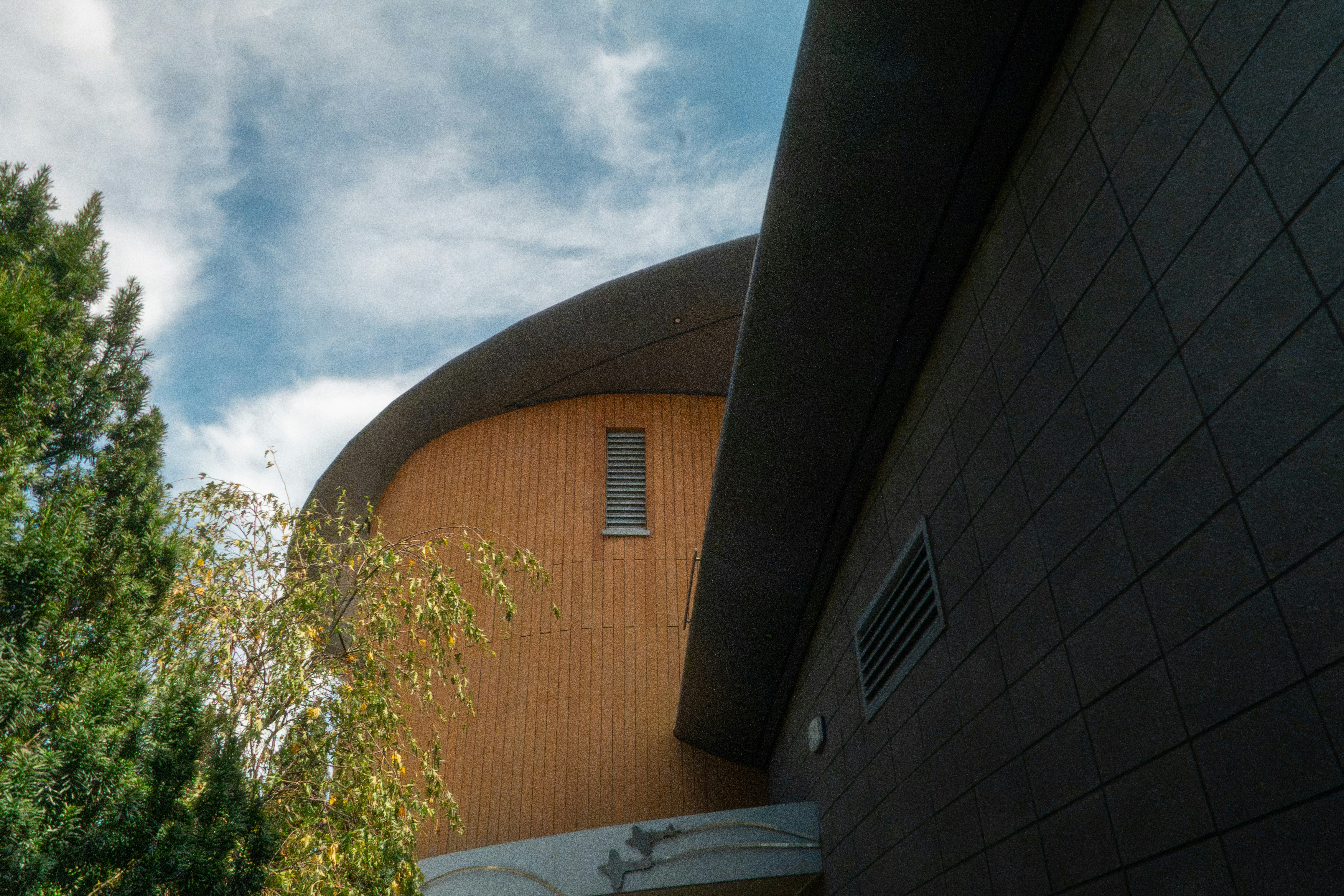 Curved Roof, Concrete Shadow: A Modern Architecture Moment