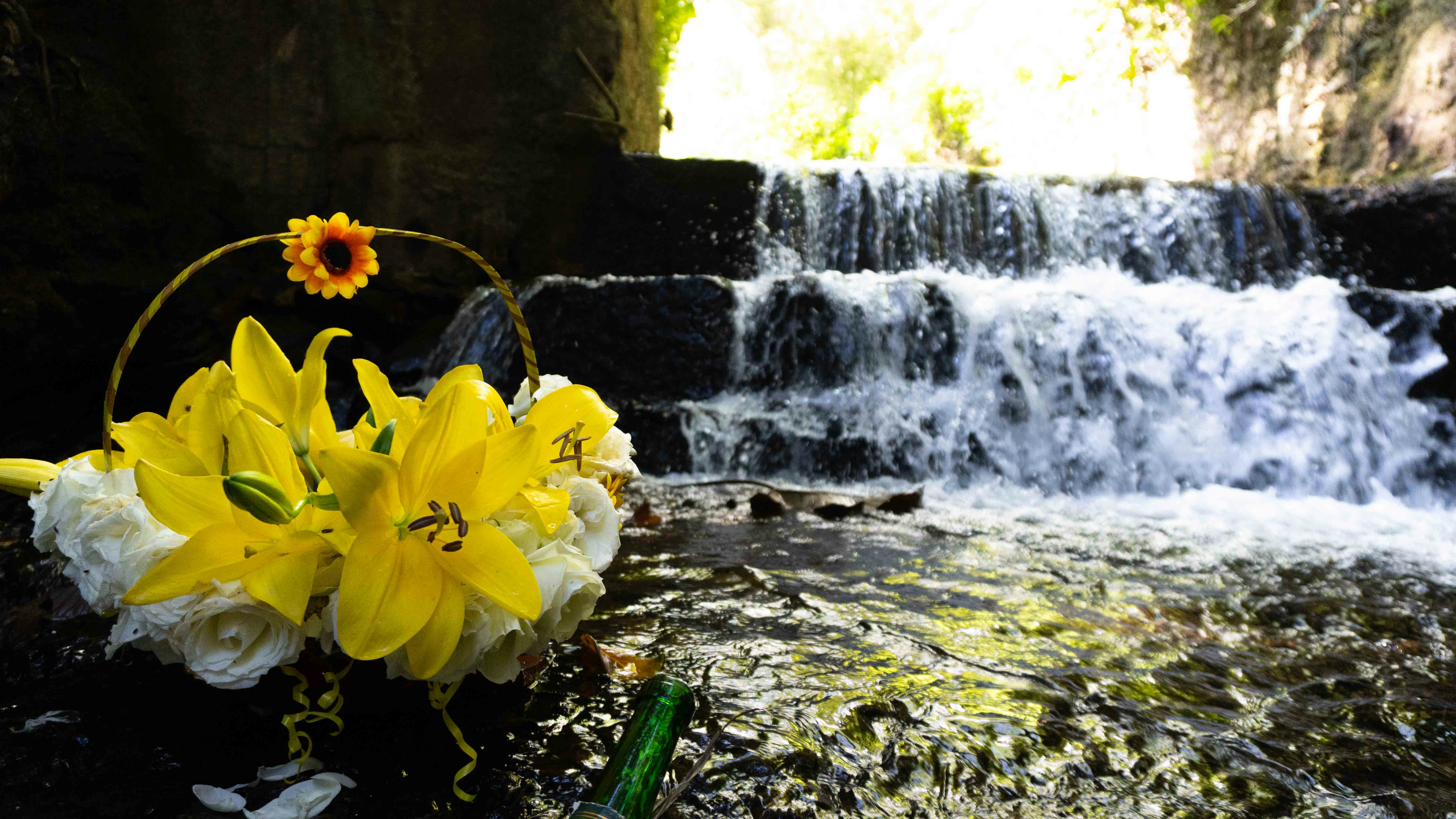 Sunlit Cascade and Bouquet by the Brook