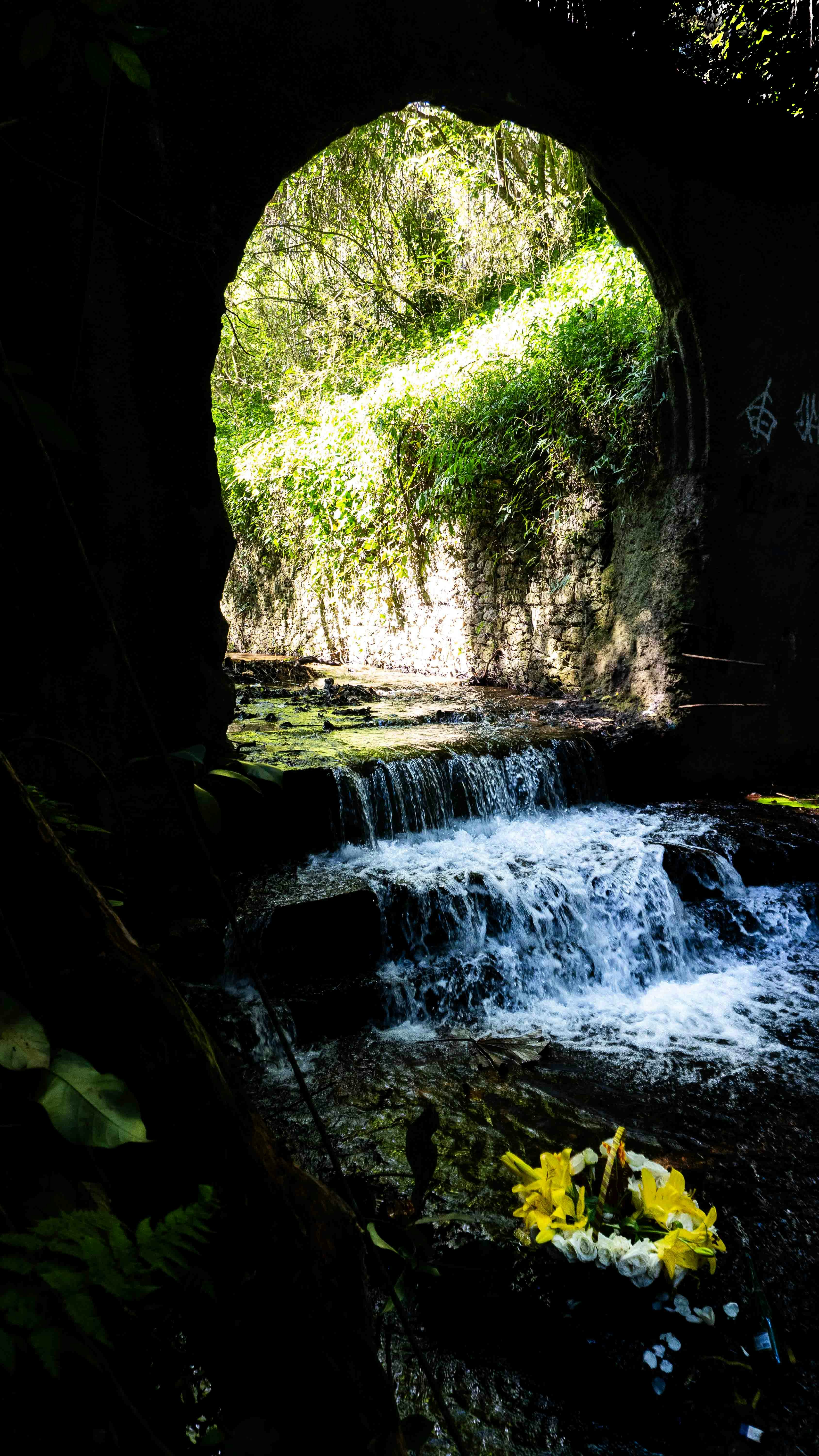 Dawn Light Through a Hidden Archway Over a Whispering Creek