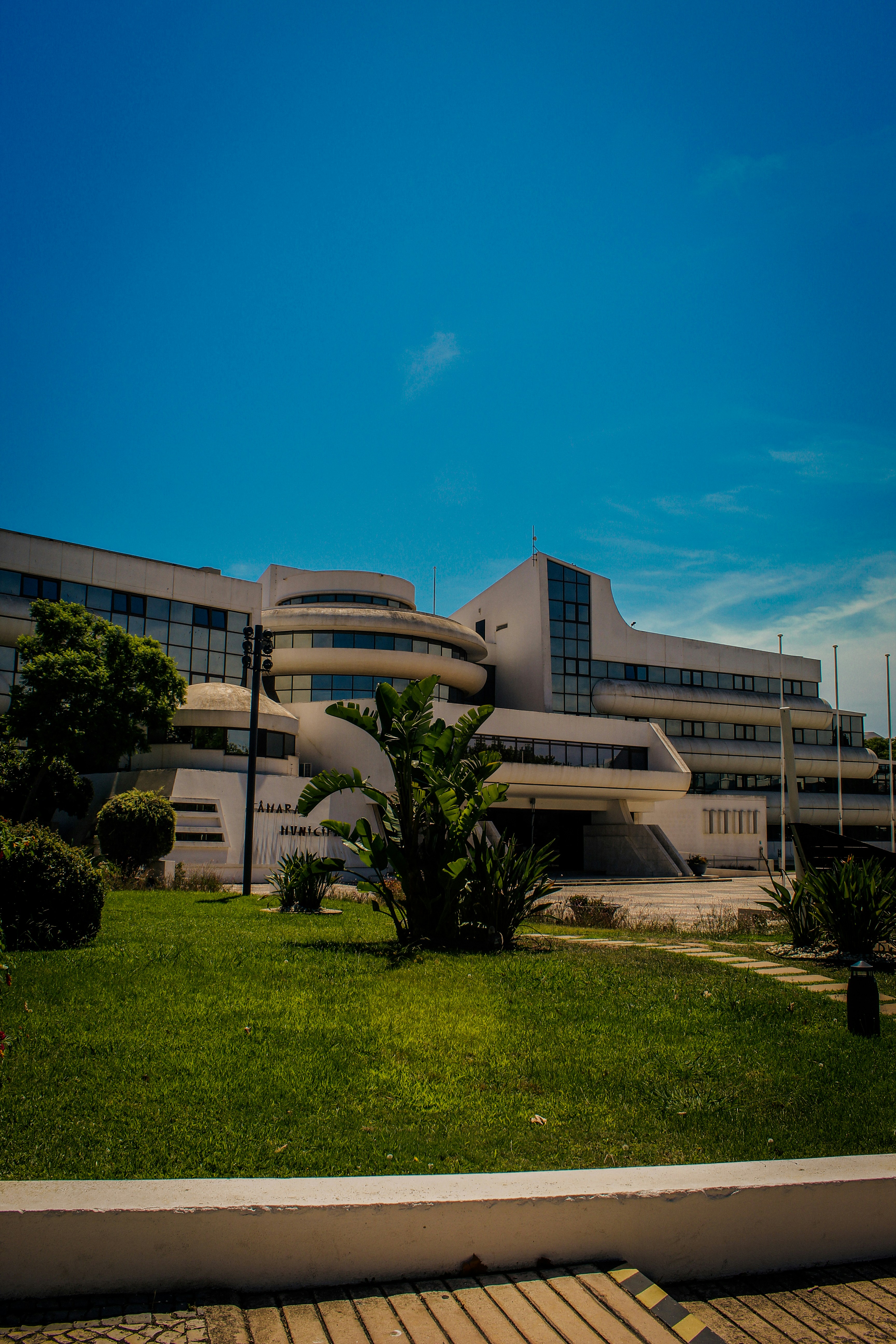 Mid-Century Campus Crest Under a Velvet Sky