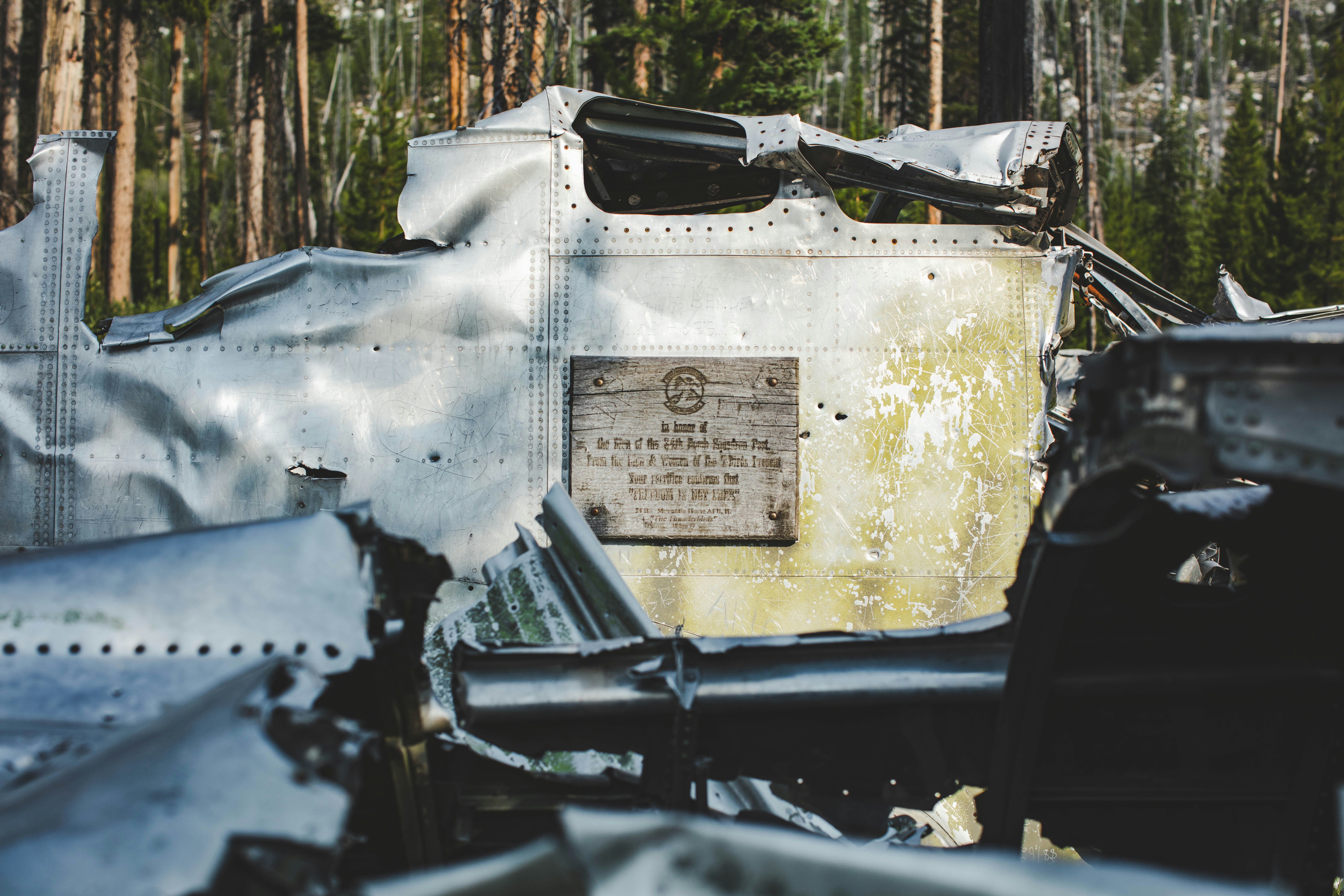 Relic of the Quiet Woods: A Plated Memorial in Silent Pines