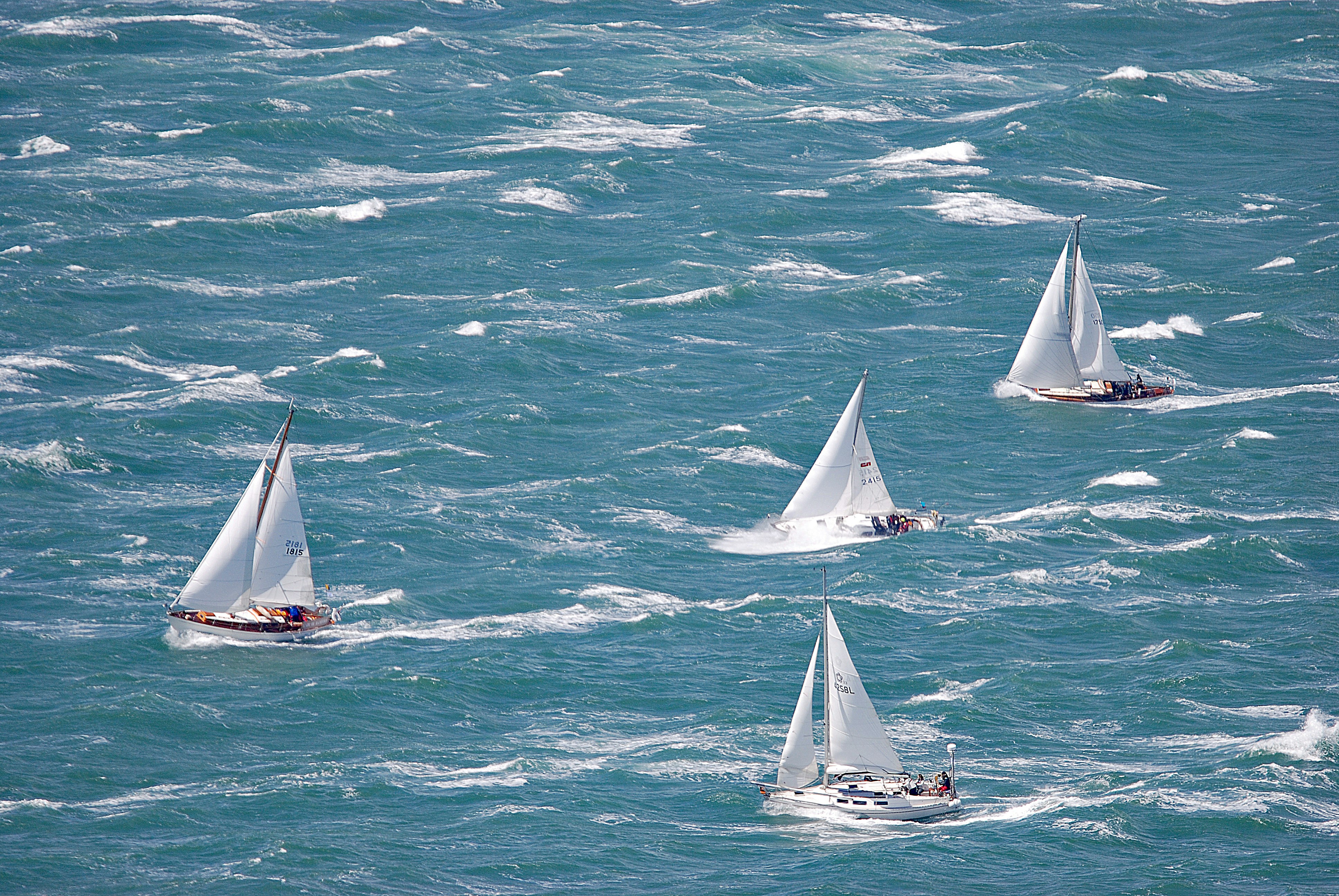 Sailing Scatter: White Sails Against a Sea of Turquoise Ripples